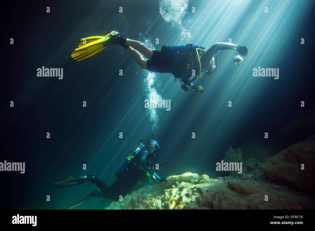 Devil’s den springs florida hi-res stock photography and images - Alamy