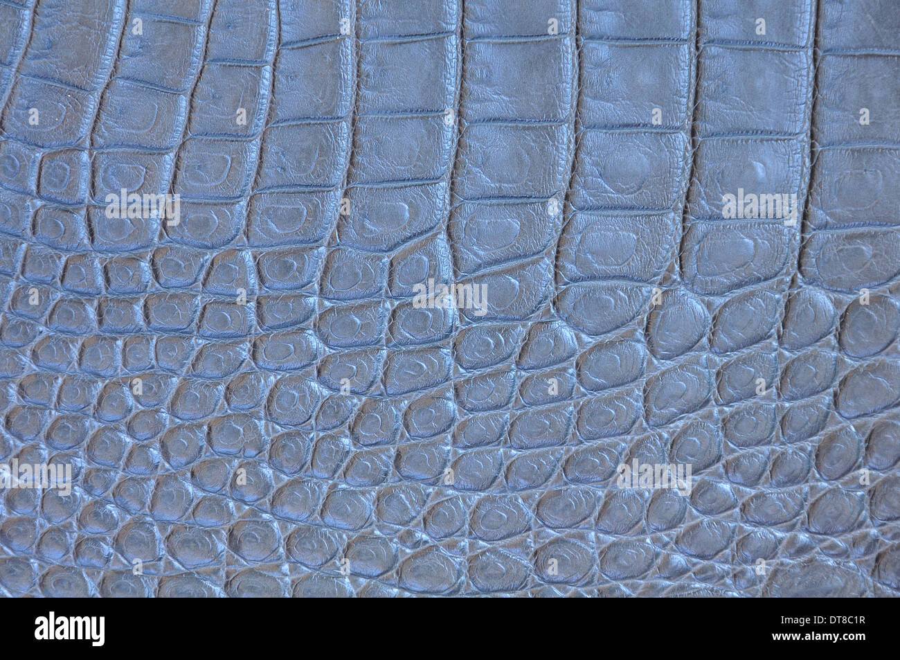 Crocodile skin pattern Stock Photo - Alamy