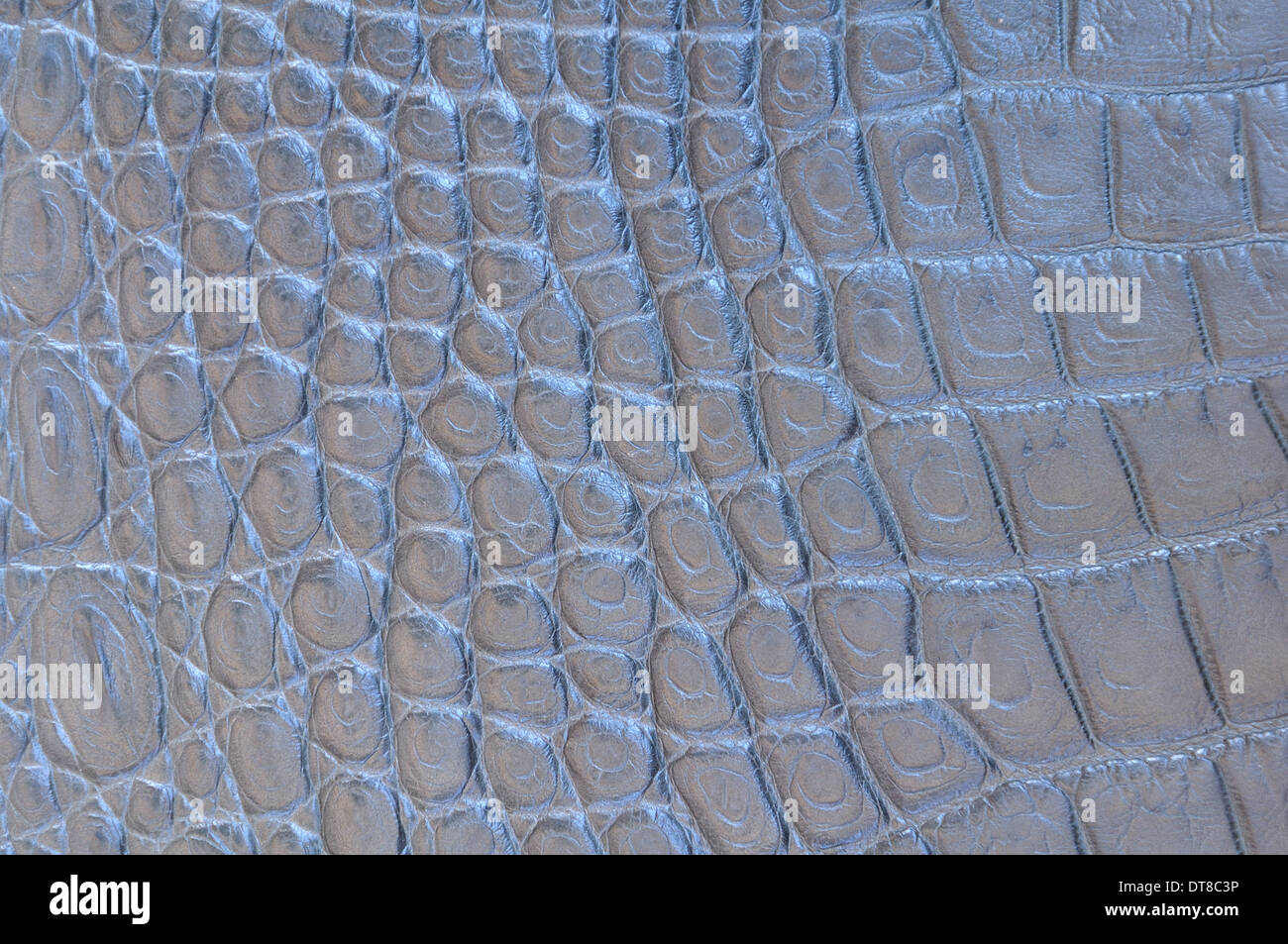 Crocodile skin pattern Stock Photo - Alamy