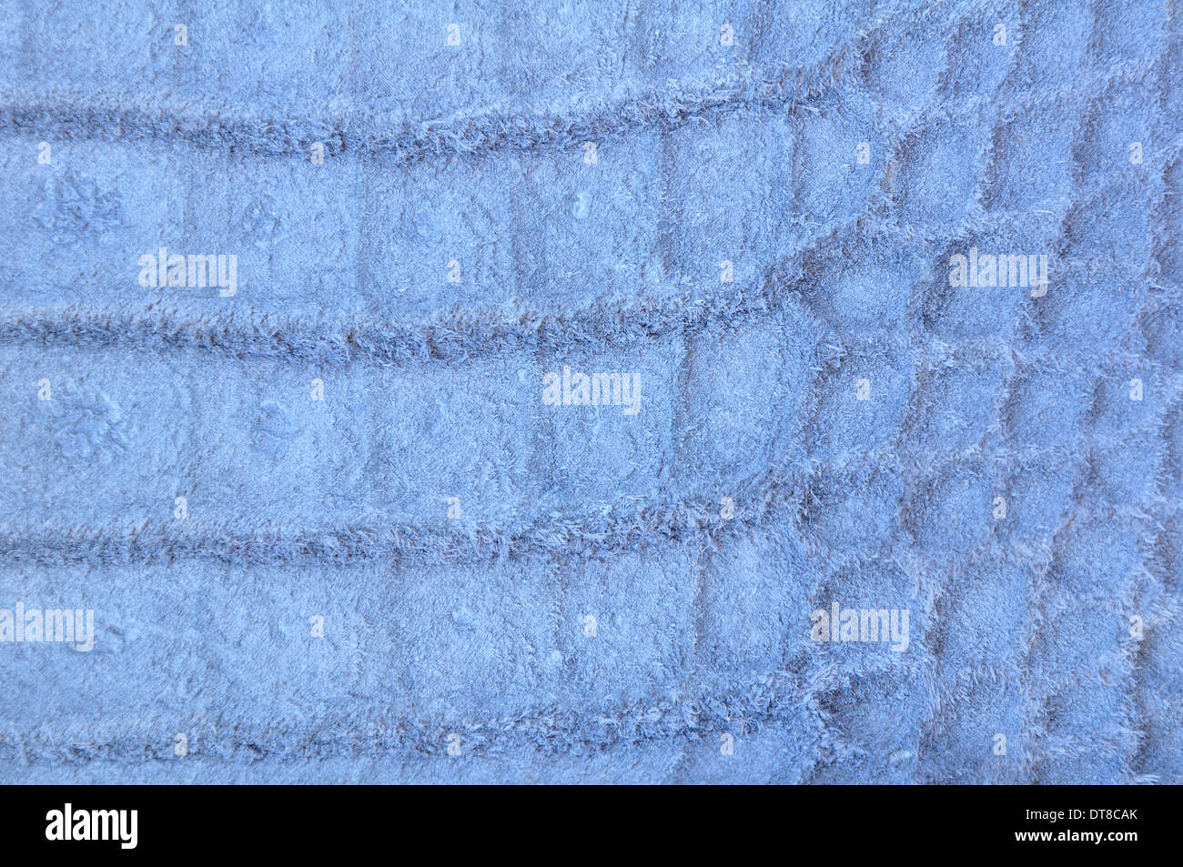 Crocodile skin pattern backside Stock Photo - Alamy