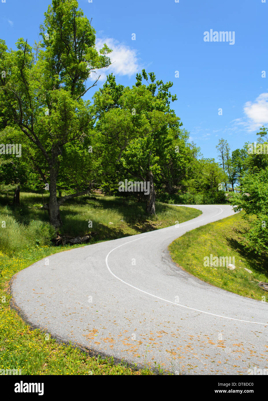 Curving mountain road in North Carolina near the Blue Ridge Parkway ...