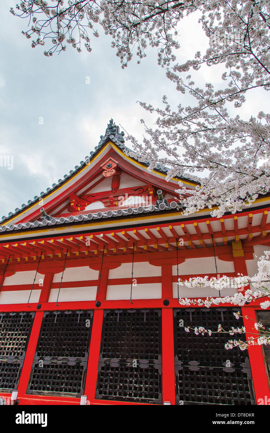 Beautiful Japanese temple style decorates by cherry blossom in spring ...