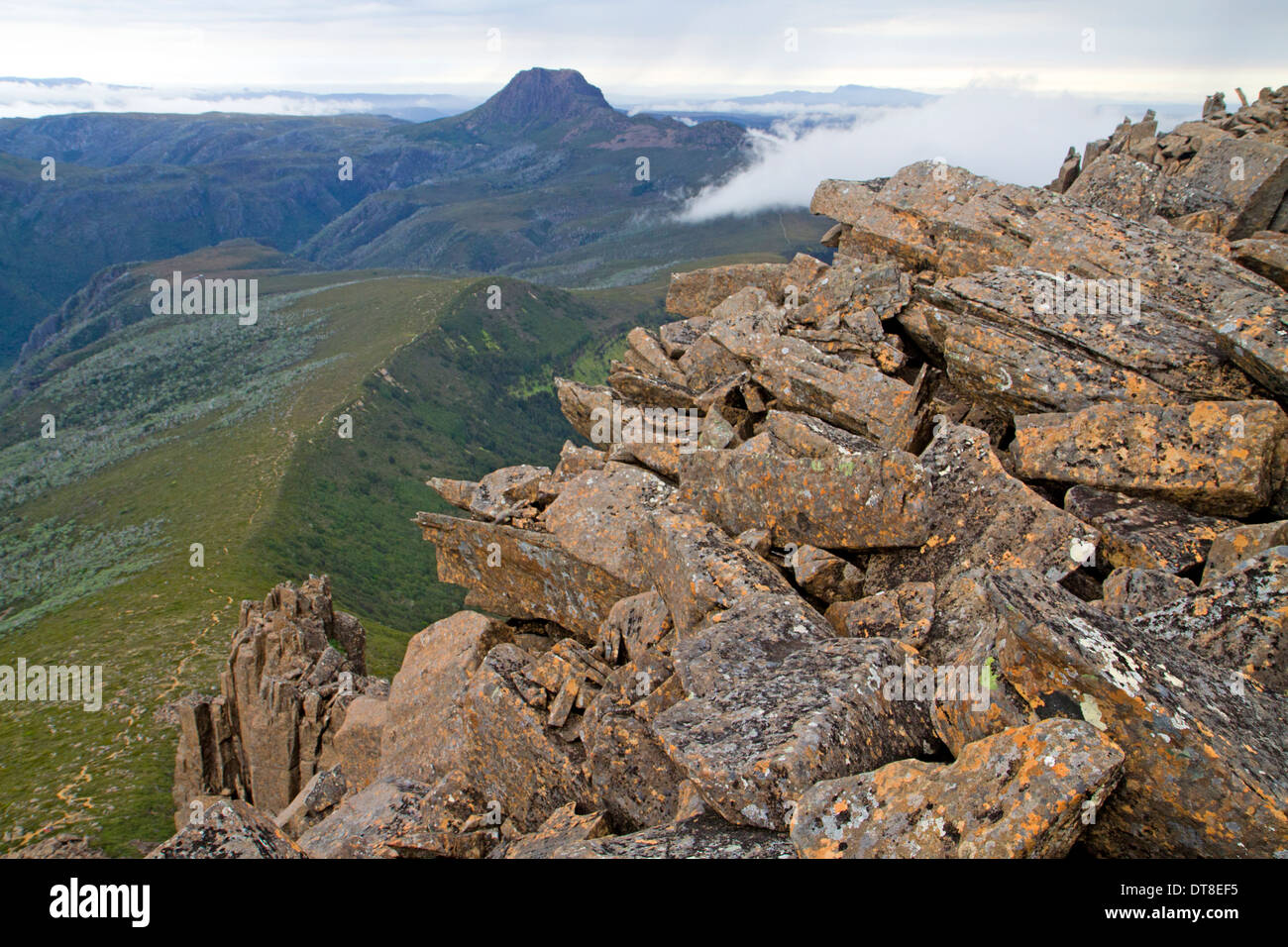 View from Barn Bluff to Cradle Mountain Stock Photo - Alamy