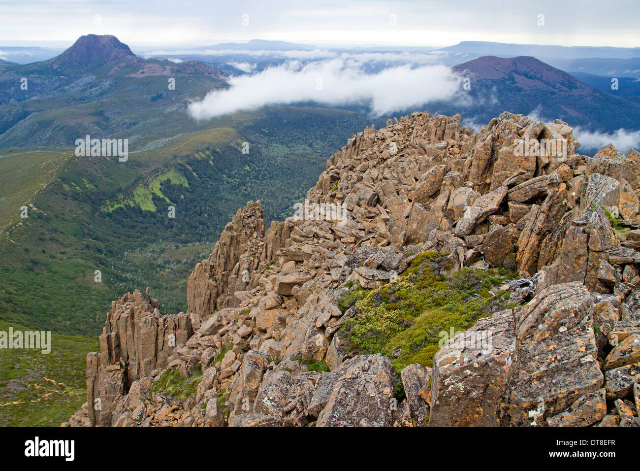 View from Barn Bluff to Cradle Mountain Stock Photo - Alamy