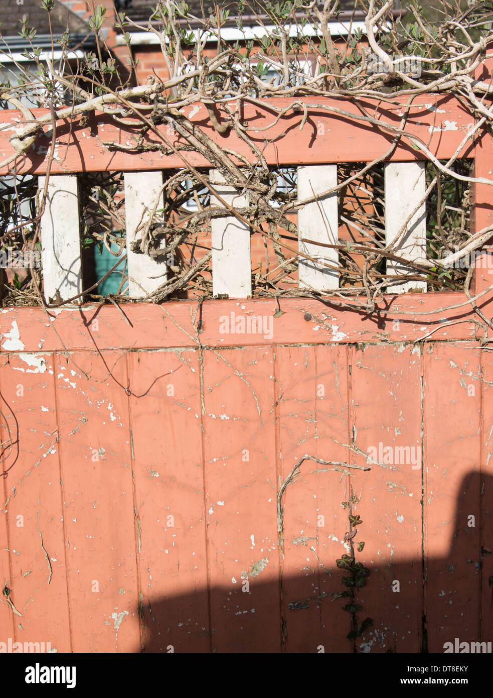 Gate with plants hi-res stock photography and images - Alamy