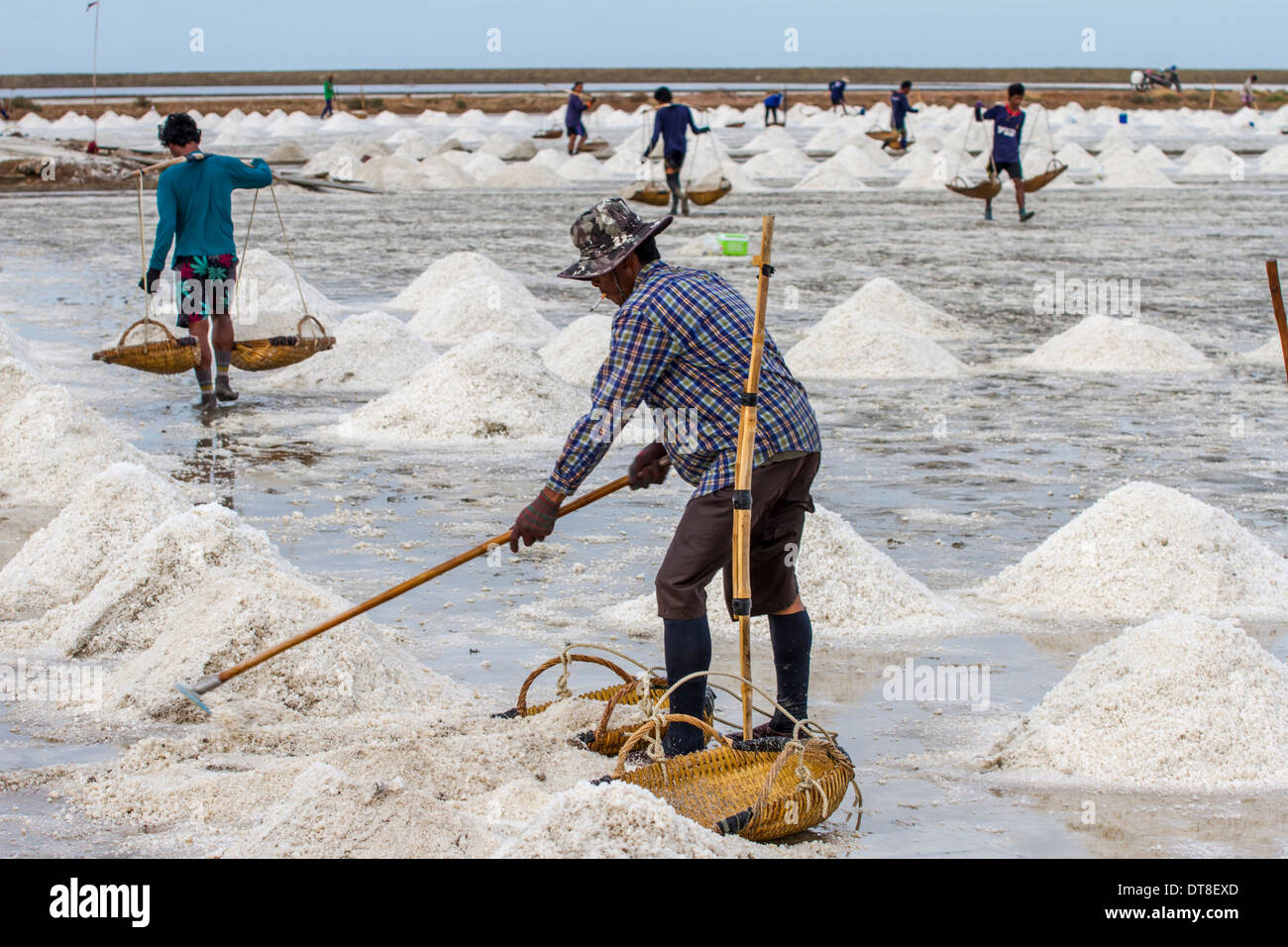 Natural salt farm hi-res stock photography and images - Alamy