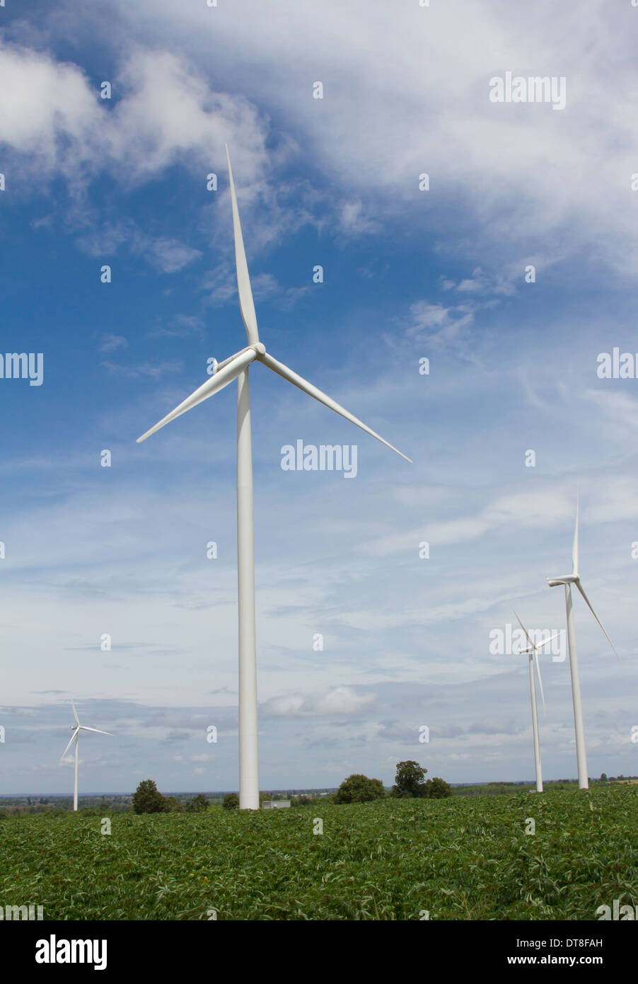Giant wind turbines in the field to produce electricity, the ...