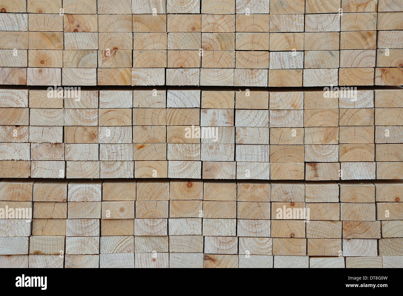 Timber Piling High Resolution Stock Photography and Images - Alamy