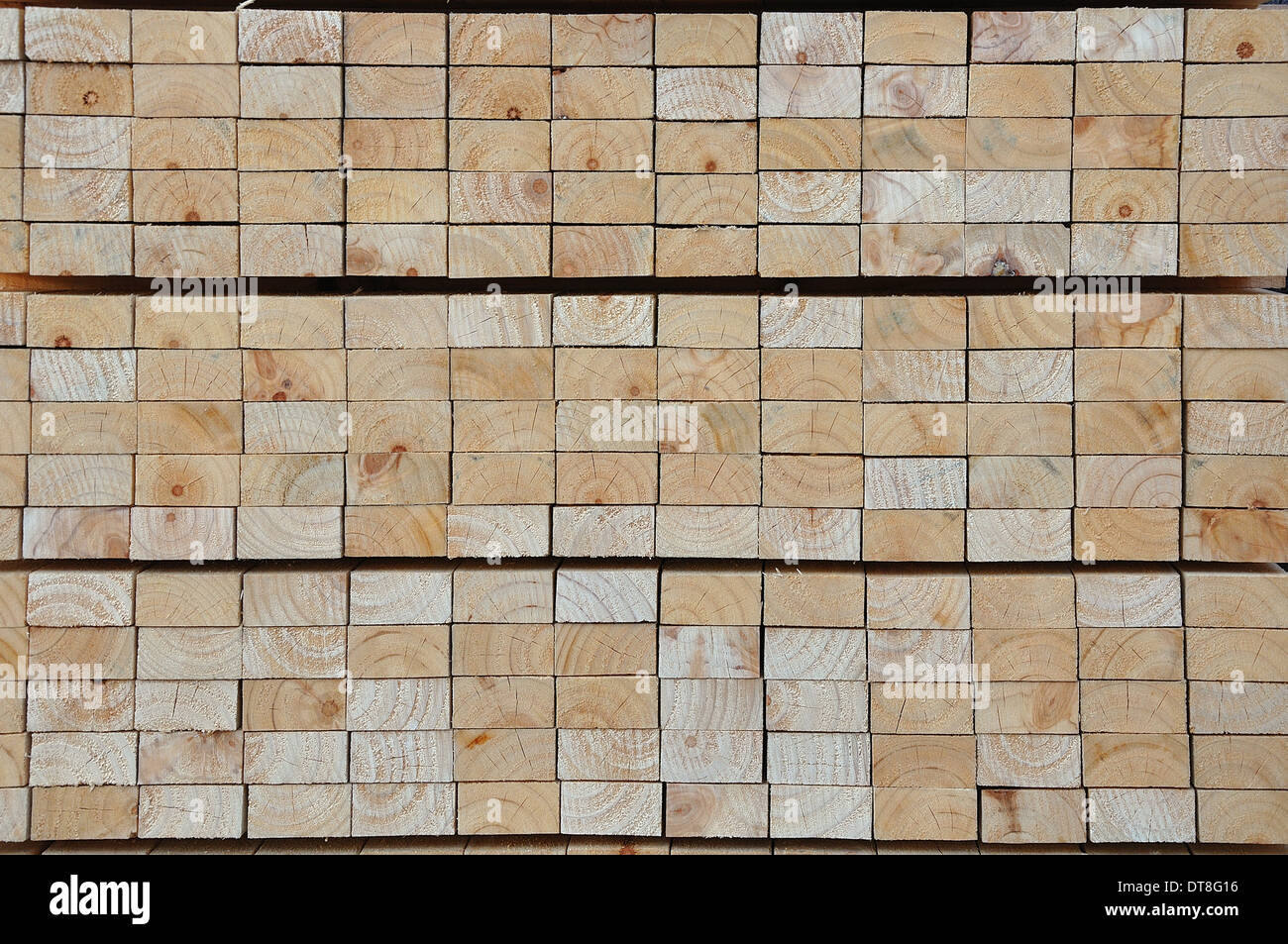 Wood piling hi-res stock photography and images - Alamy