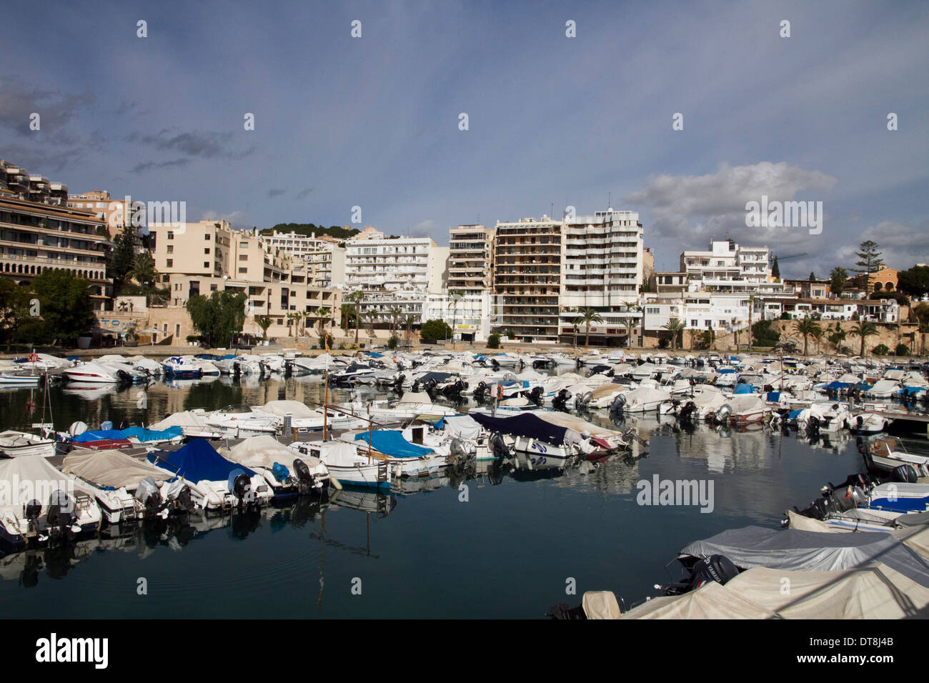 Can barbara palma hi-res stock photography and images - Alamy