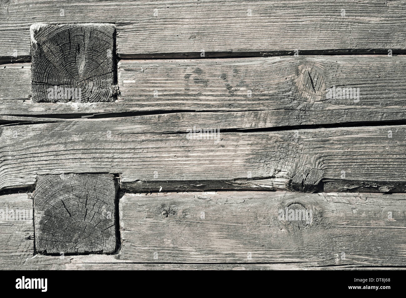 Square trunk tree hi-res stock photography and images - Alamy