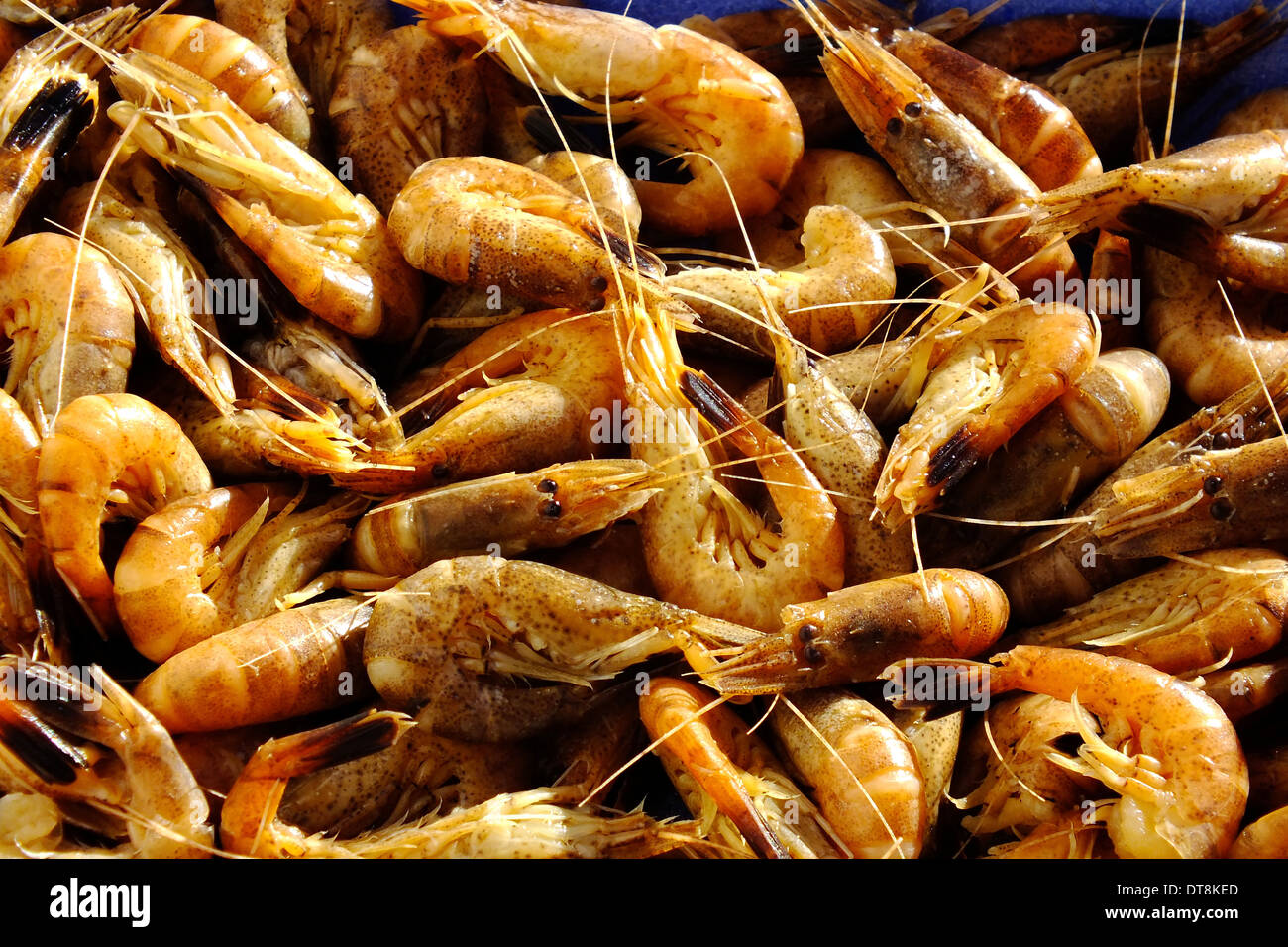 Shrimp products hi-res stock photography and images - Alamy