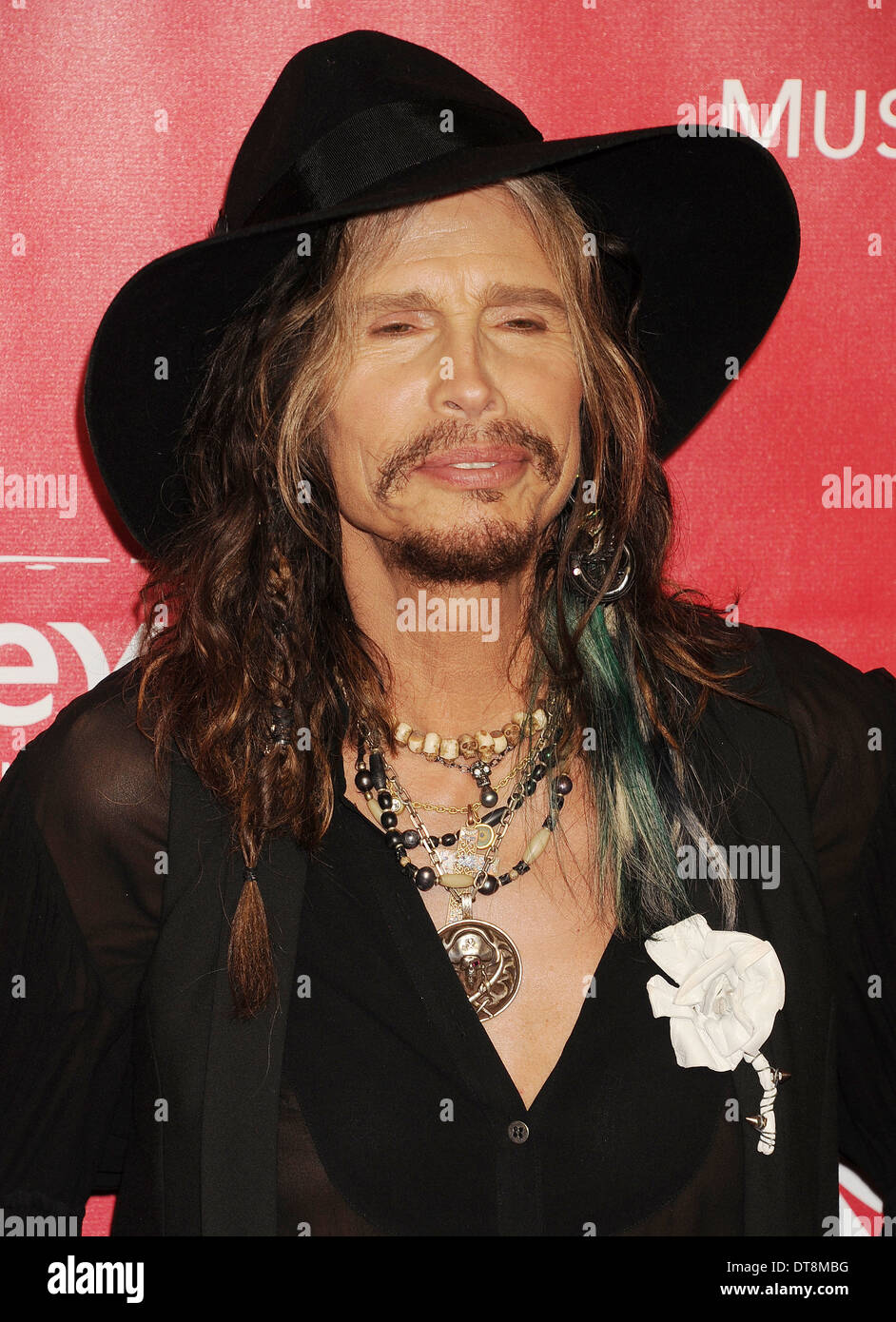 STEVE TYLER of Aerosmith in February 2014. Photo Jeffrey Mayer Stock ...