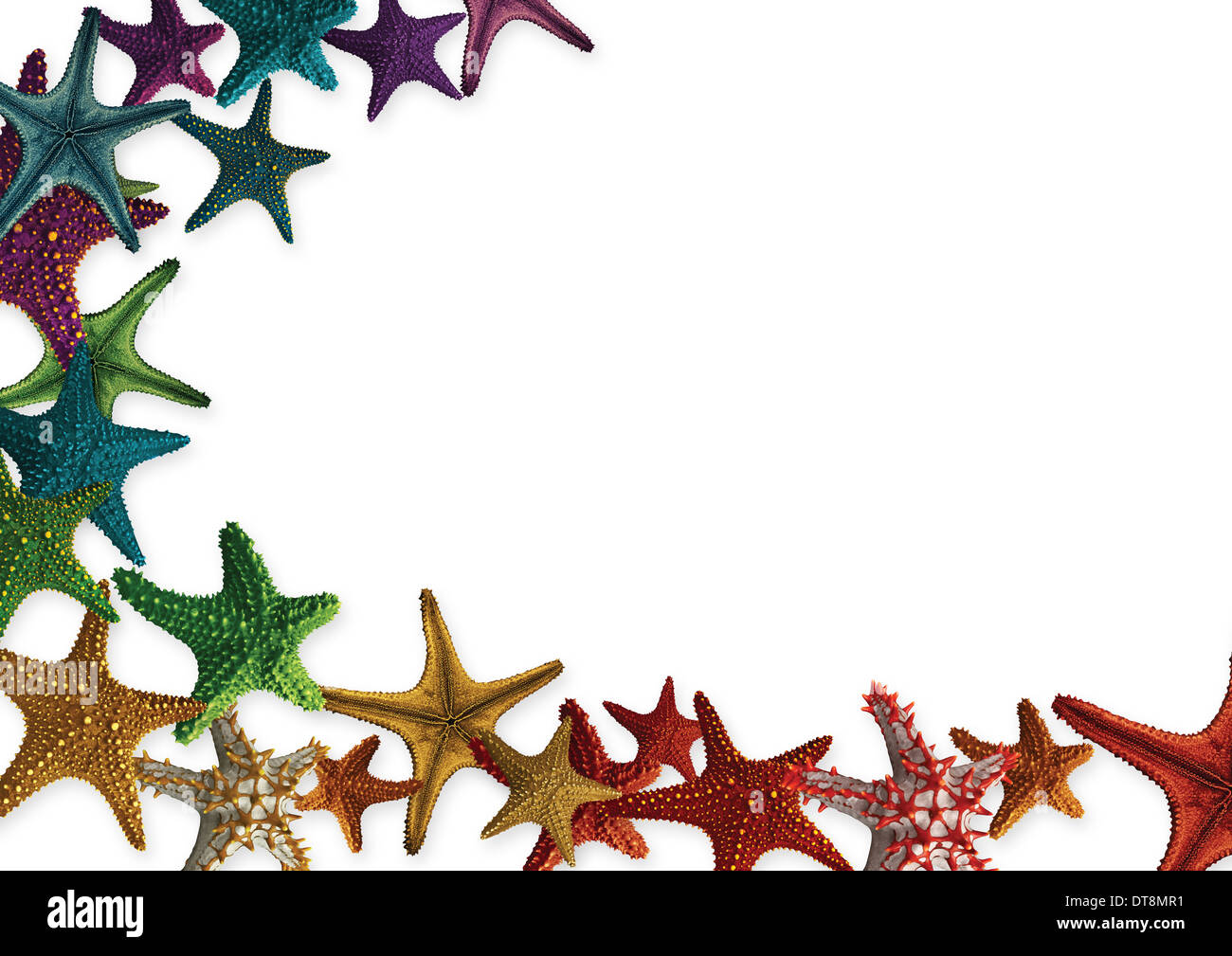 Layout of different colored starfish Stock Photo - Alamy