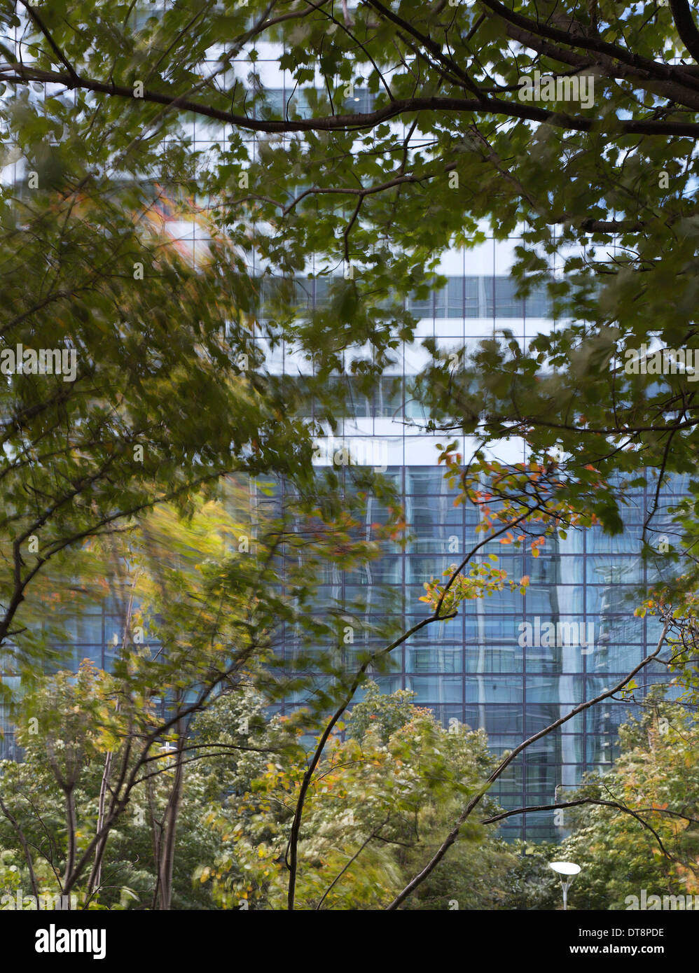 Public Square Canary Wharf, London, UK. Architect: Olin Partnership ...