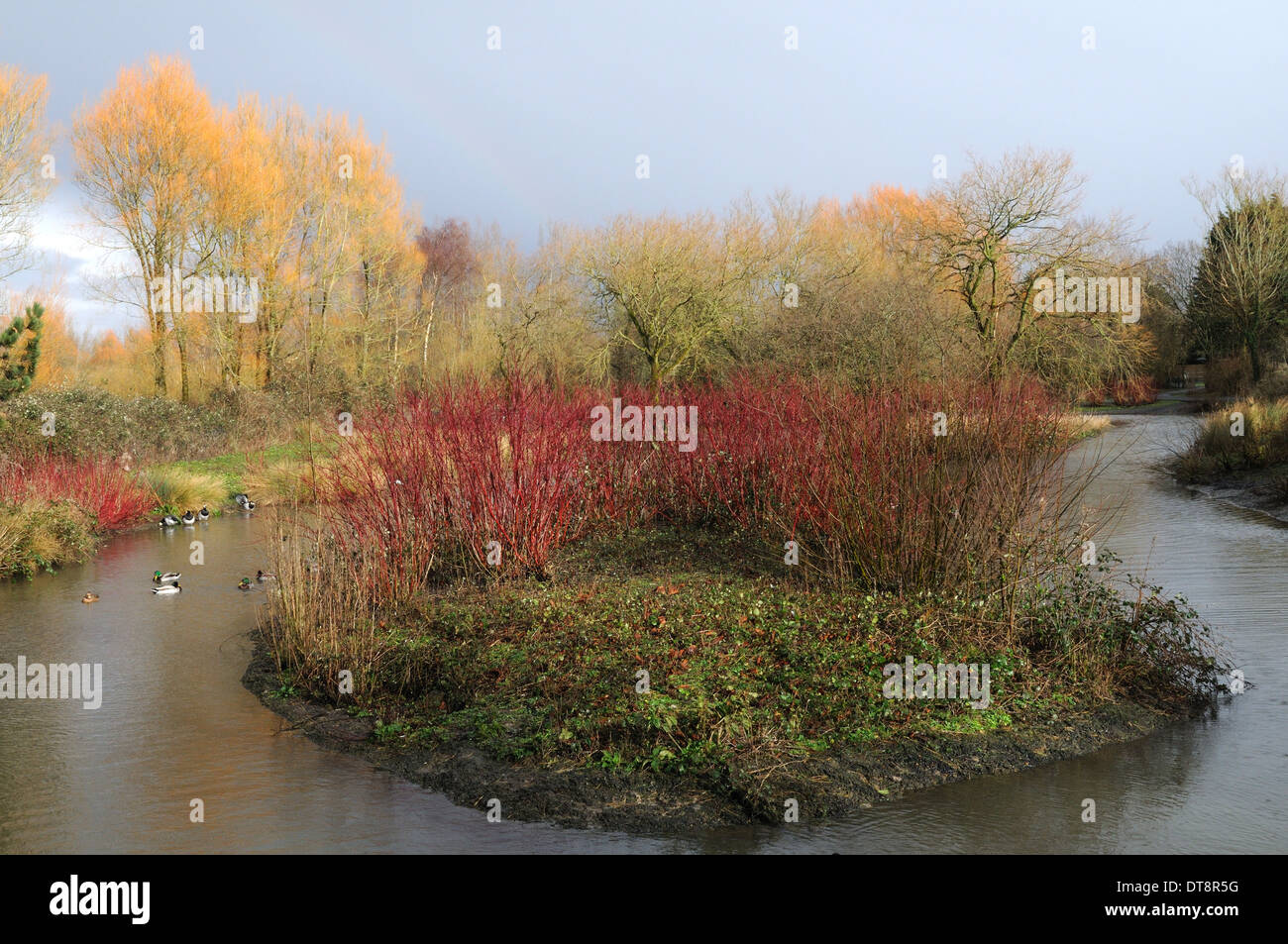 Spring colours hi-res stock photography and images - Alamy