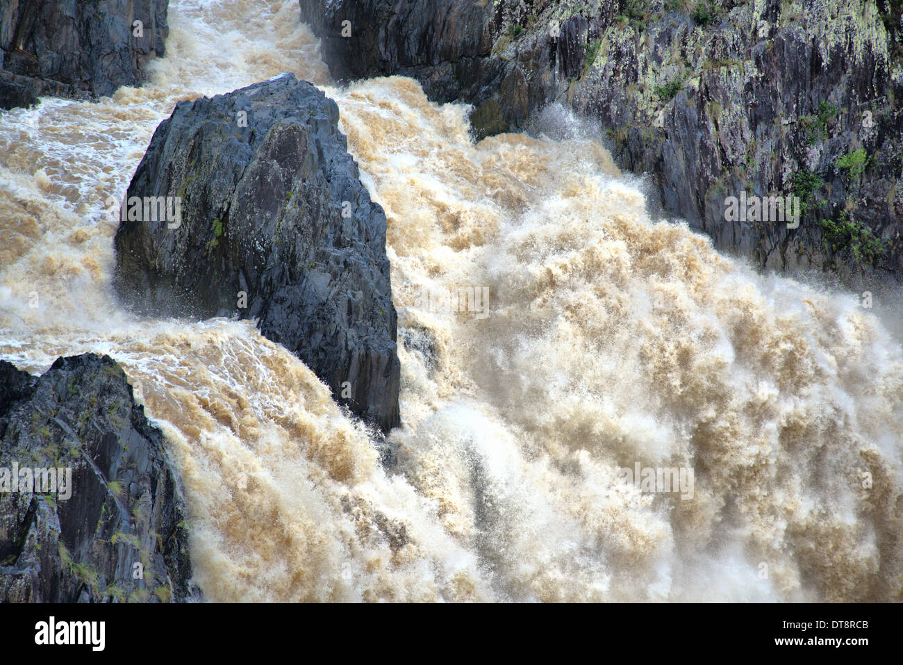 Barron Falls, Barron Gorge near Cairns, Queensland, Australia Stock ...