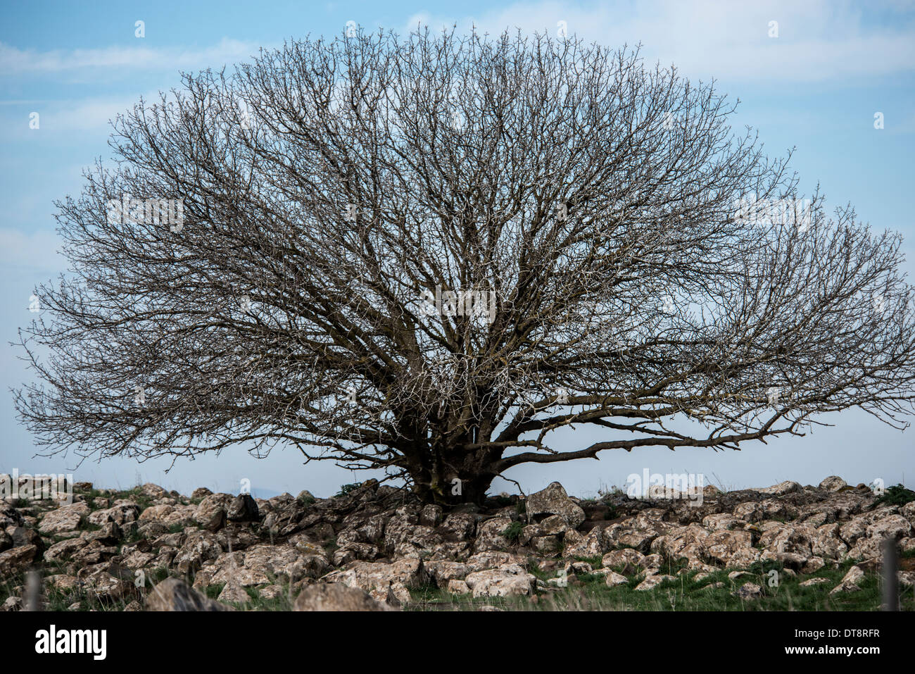 Rujm El Hiri, Gilgal or Galgal Refaim, Wheel of Spirits, Golan Heights ...