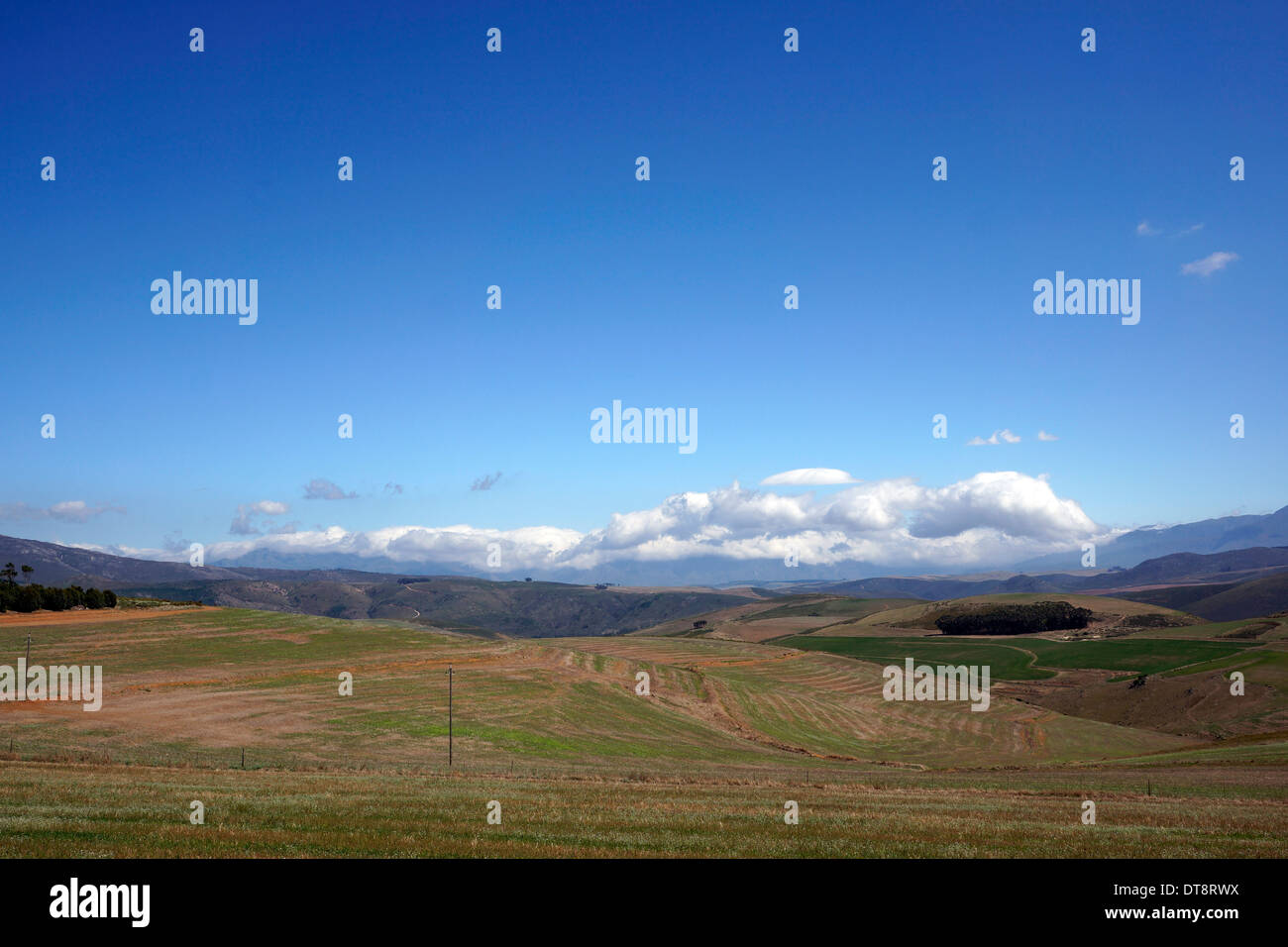 South african farm land hi-res stock photography and images - Alamy