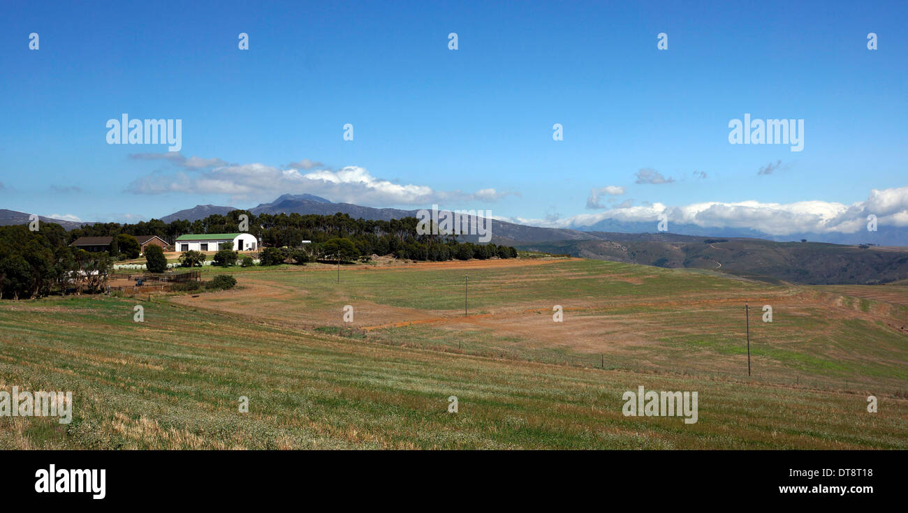 Farm in the Boland region of the Western Cape Province of South Africa ...
