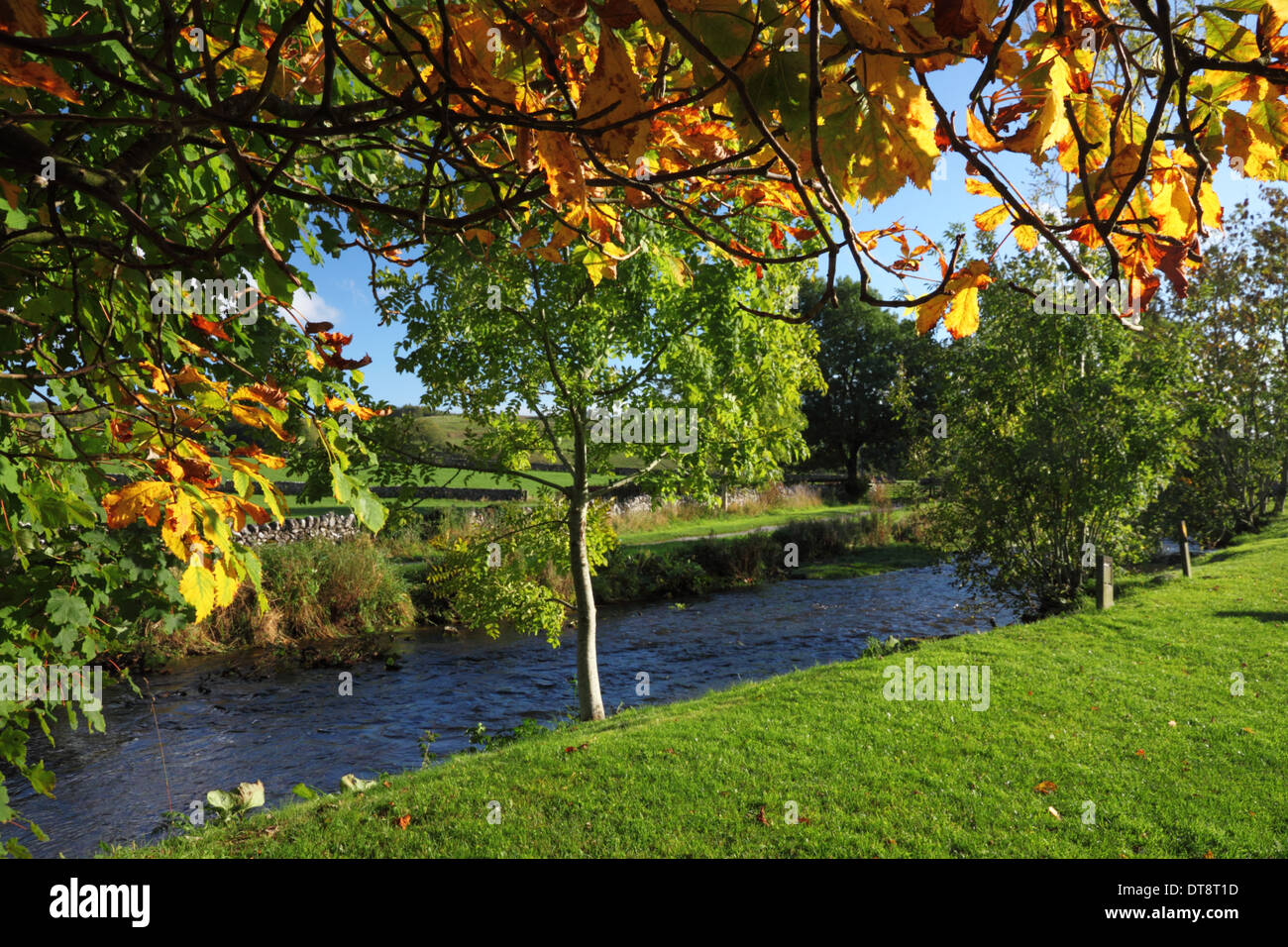 Trees with autumn foliage beside a stream Stock Photo - Alamy