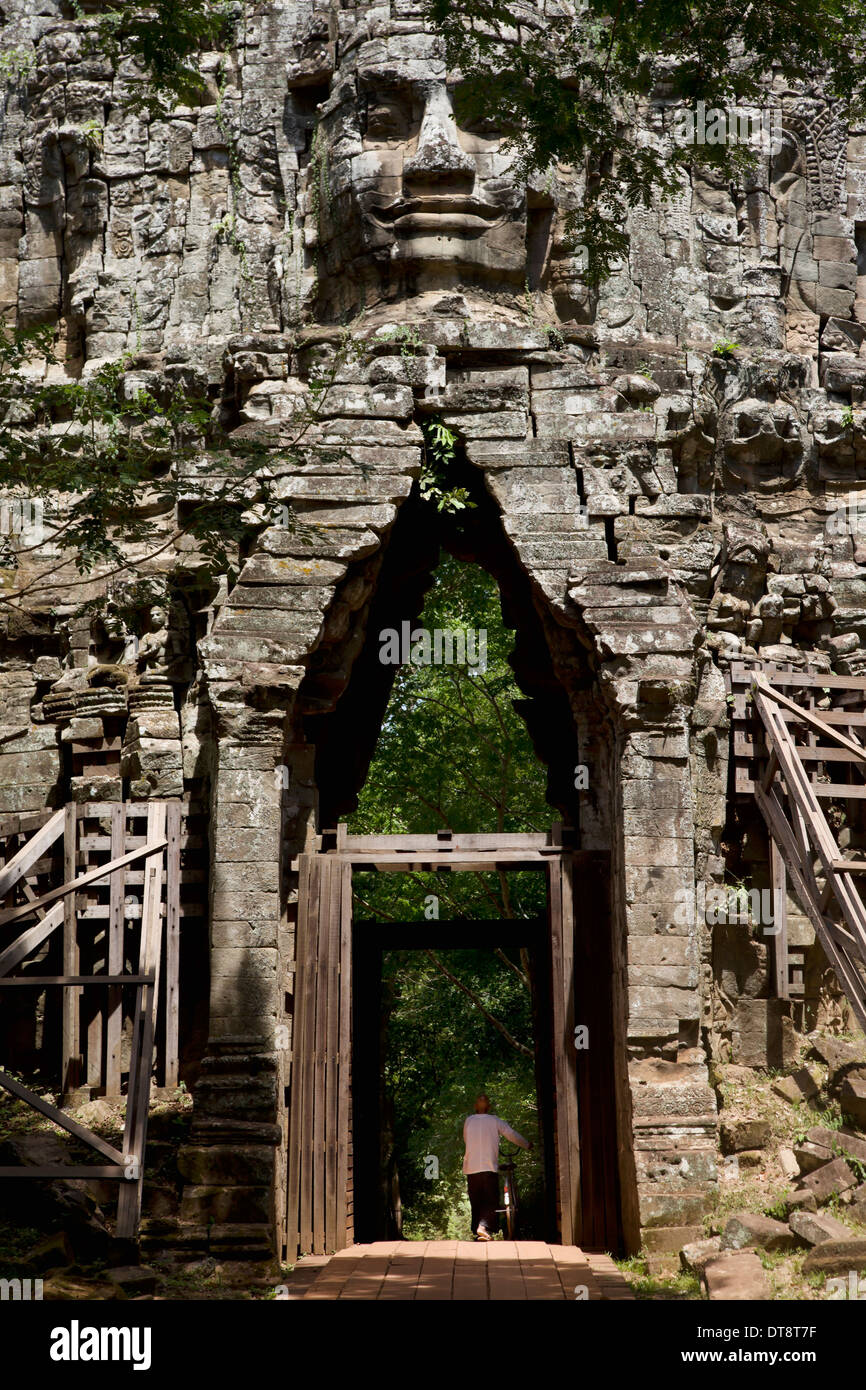 Old thom hi-res stock photography and images - Alamy