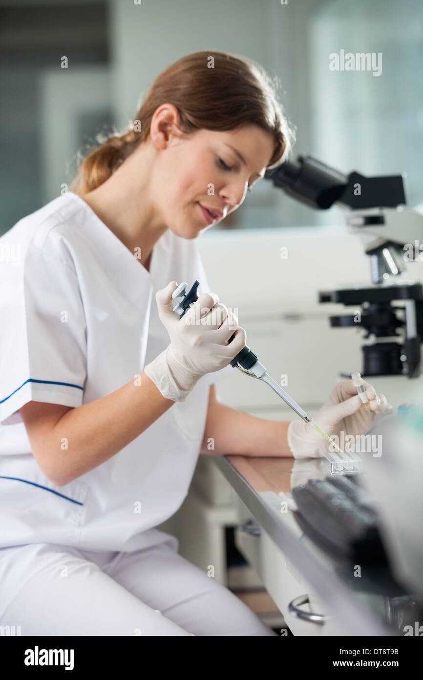 Laboratory science research hi-res stock photography and images - Alamy