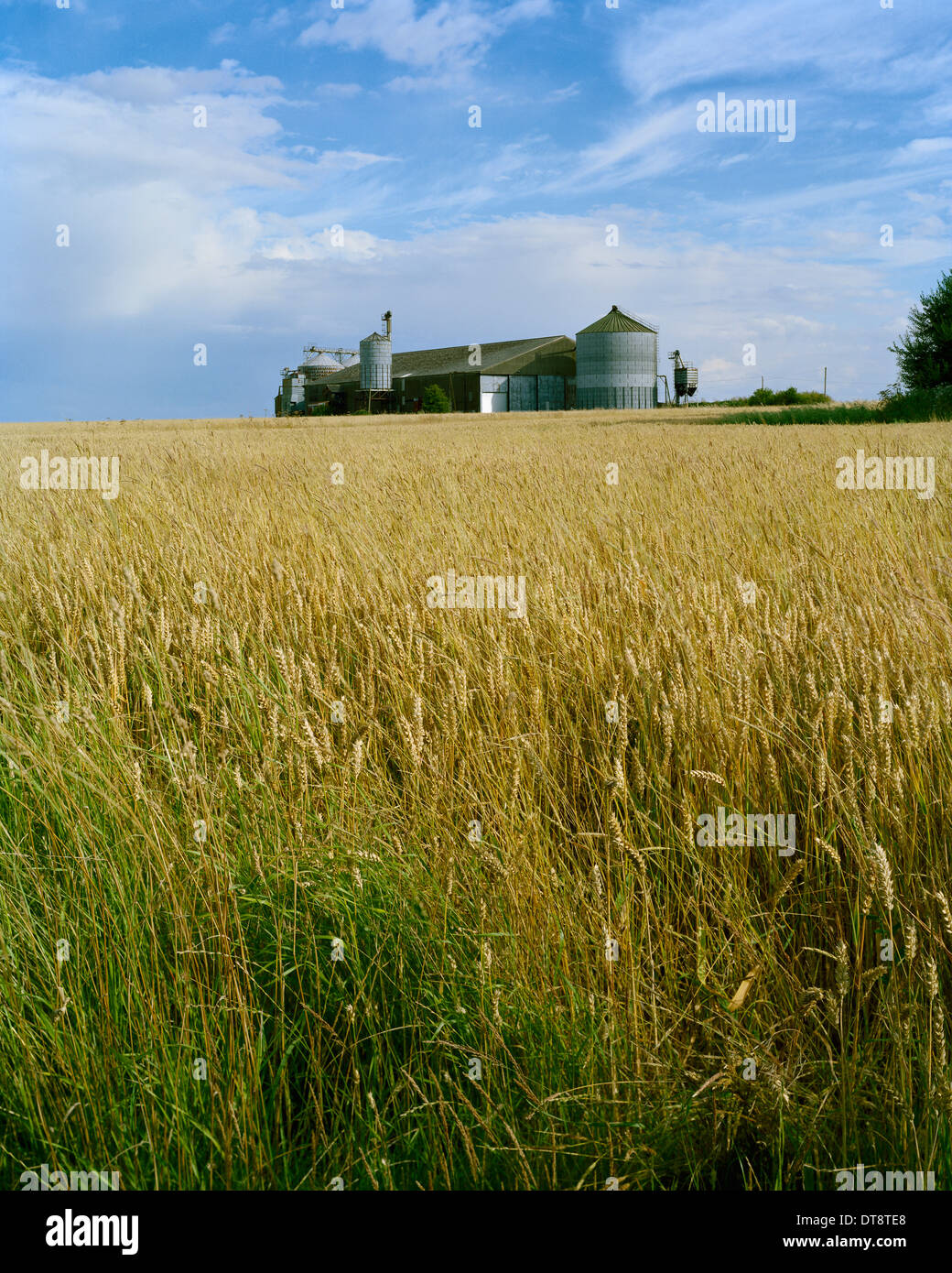 Grain silo uk hi-res stock photography and images - Alamy