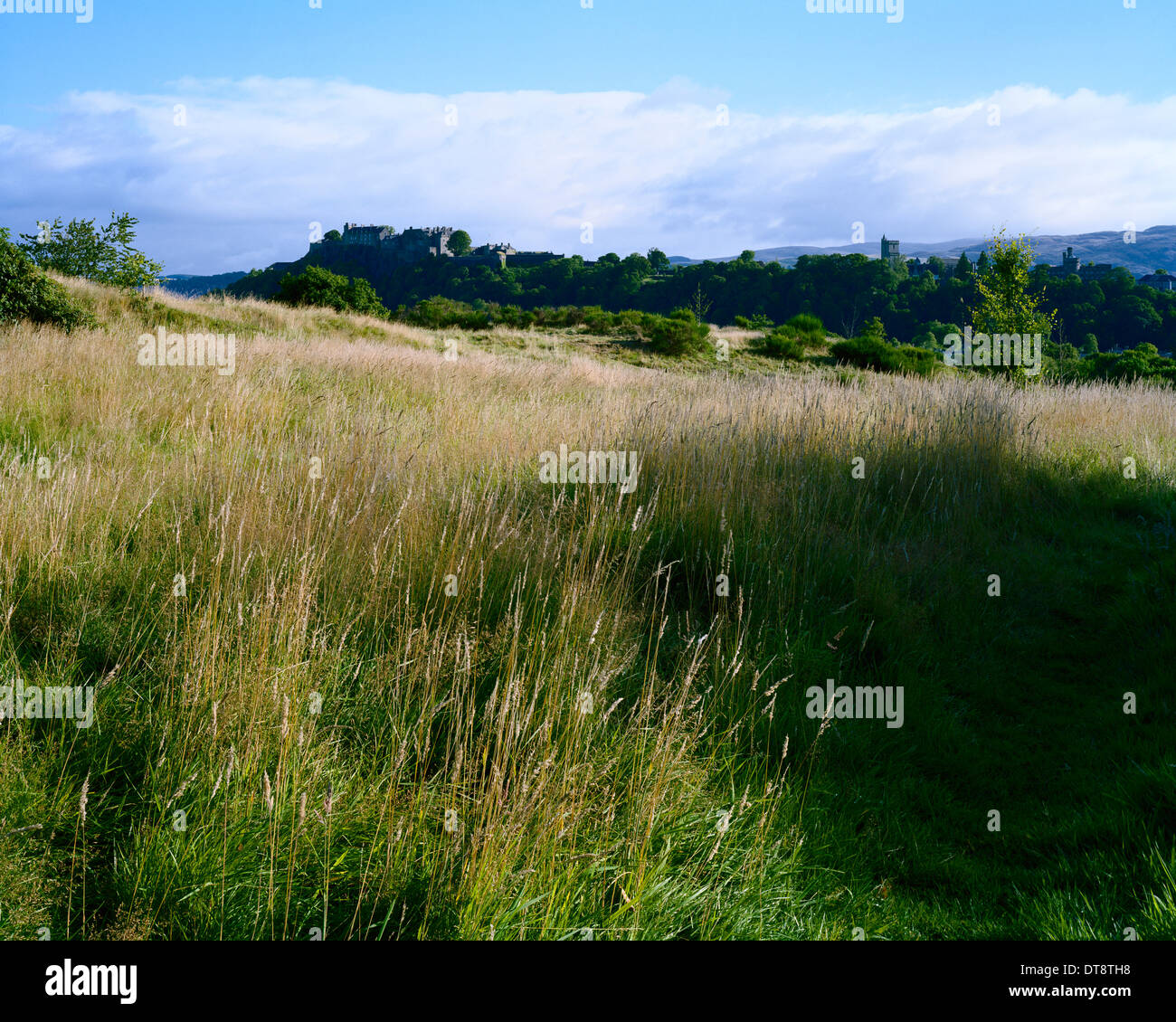 Kings park stirling hi-res stock photography and images - Alamy
