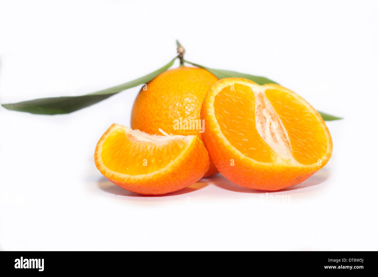 Clementine - Stock Image Stock Photo - Alamy