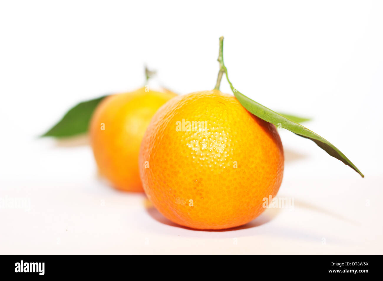 Satsuma segment hi-res stock photography and images - Alamy