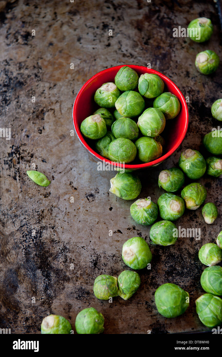 Big bowl of brussel sprouts hi-res stock photography and images - Alamy
