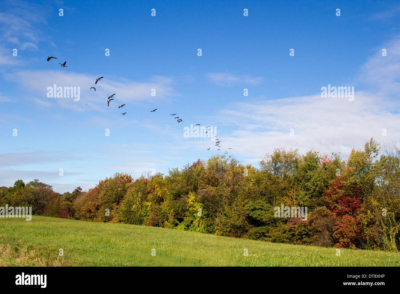 The American Countryside Stock Photo - Alamy