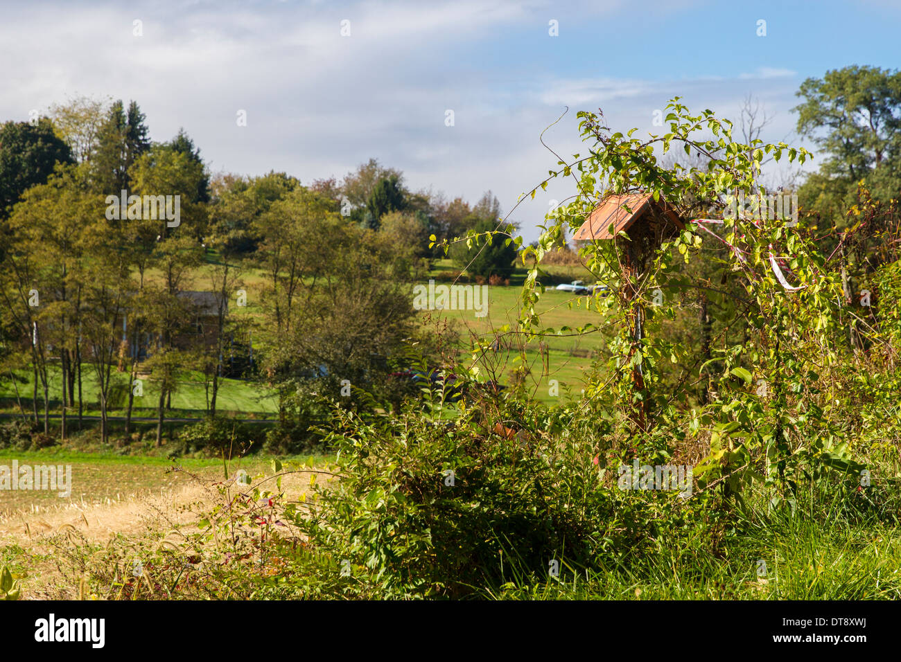 The American Countryside Stock Photo - Alamy