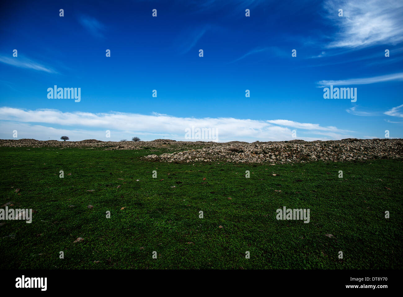 Rephaites hi-res stock photography and images - Alamy