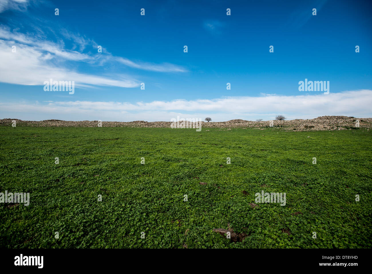 Rephaites High Resolution Stock Photography and Images - Alamy