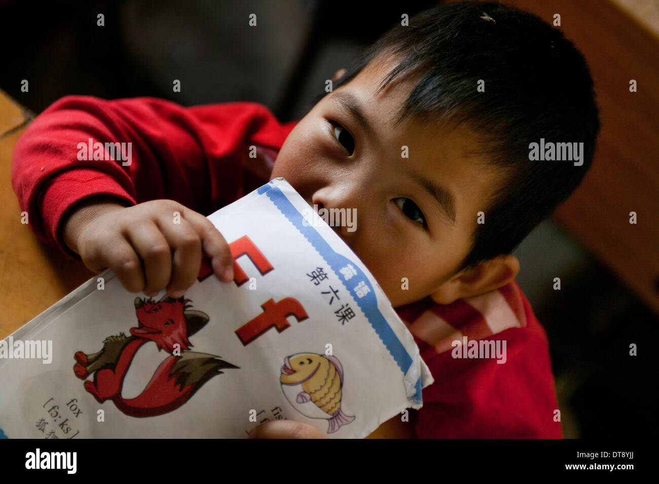 Chinese boy learning latin alphabet, China, Beijing, Beigaozhuang, a ...