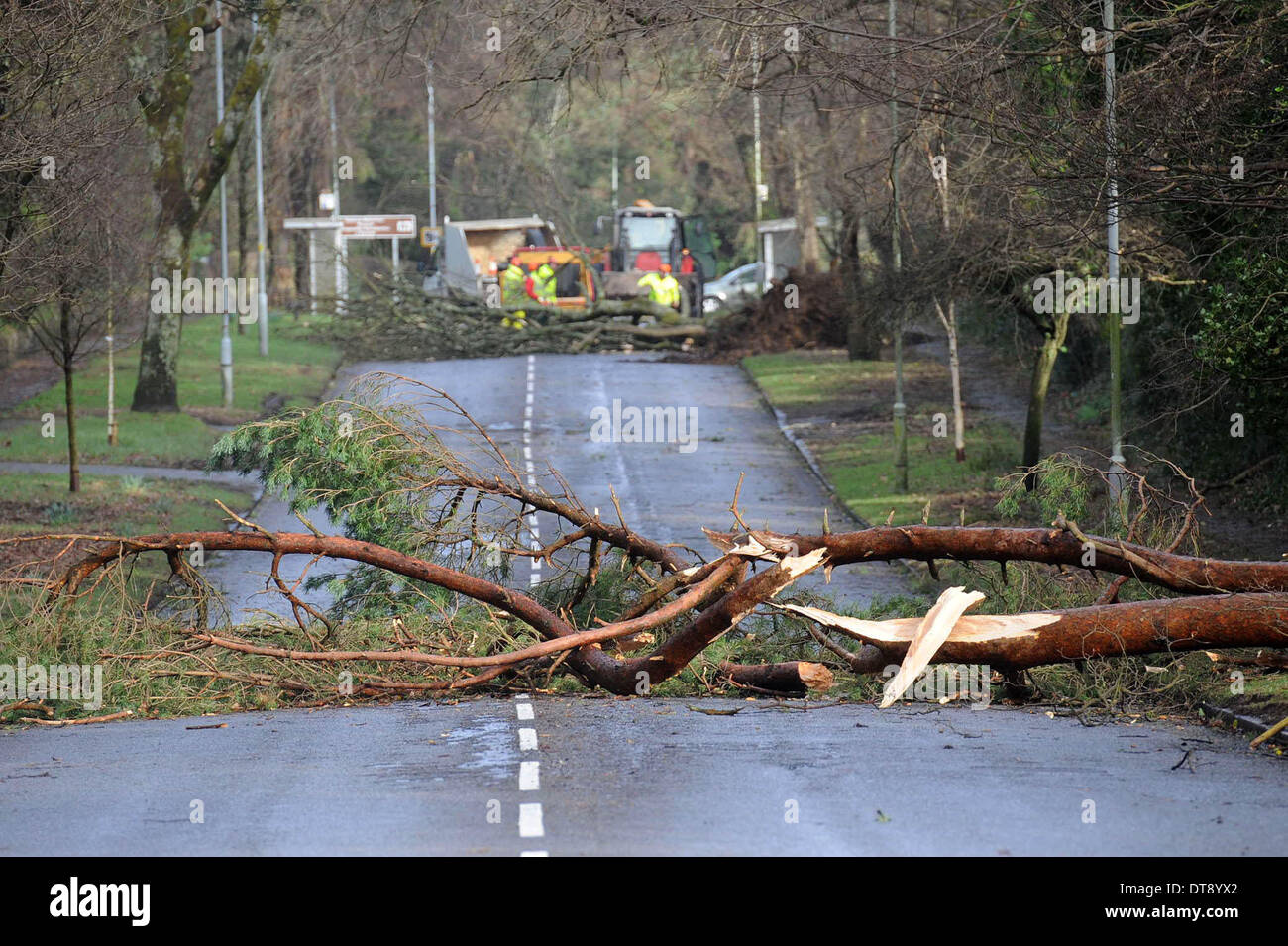 Mayals road, swansea High Resolution Stock Photography and Images - Alamy
