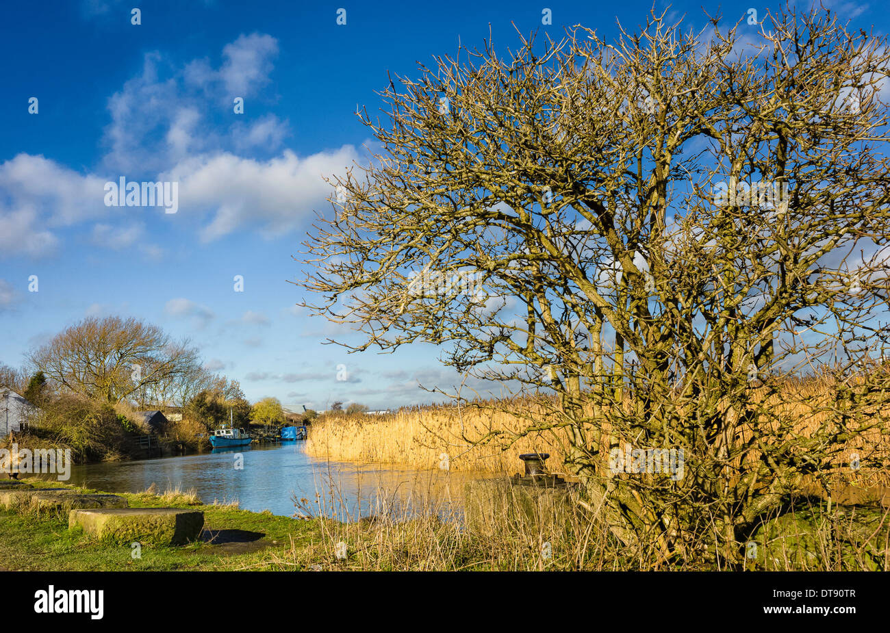 The river Hull on a beautiful winter's morning at the confluence of ...