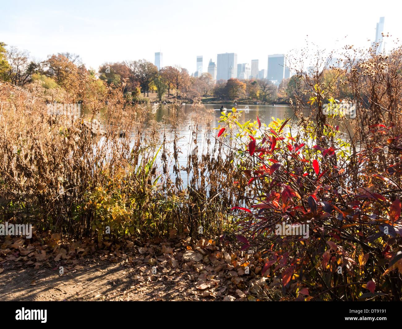 The Lake on a Fall Afternoon with Midtown Manhattan Skyline, Central ...