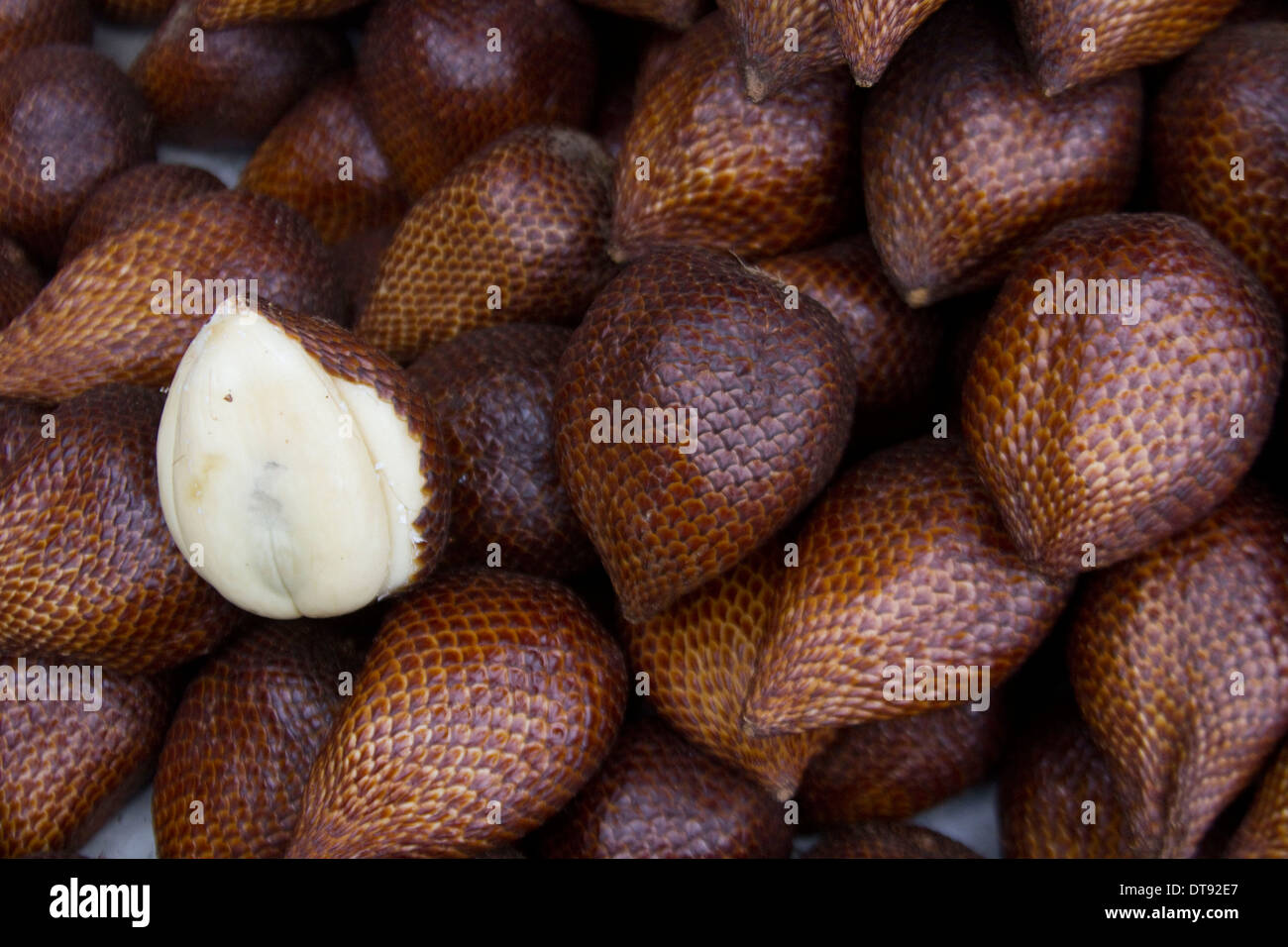 Salak (Salacca zalacca) is a species of palm tree (family Arecaceae ...