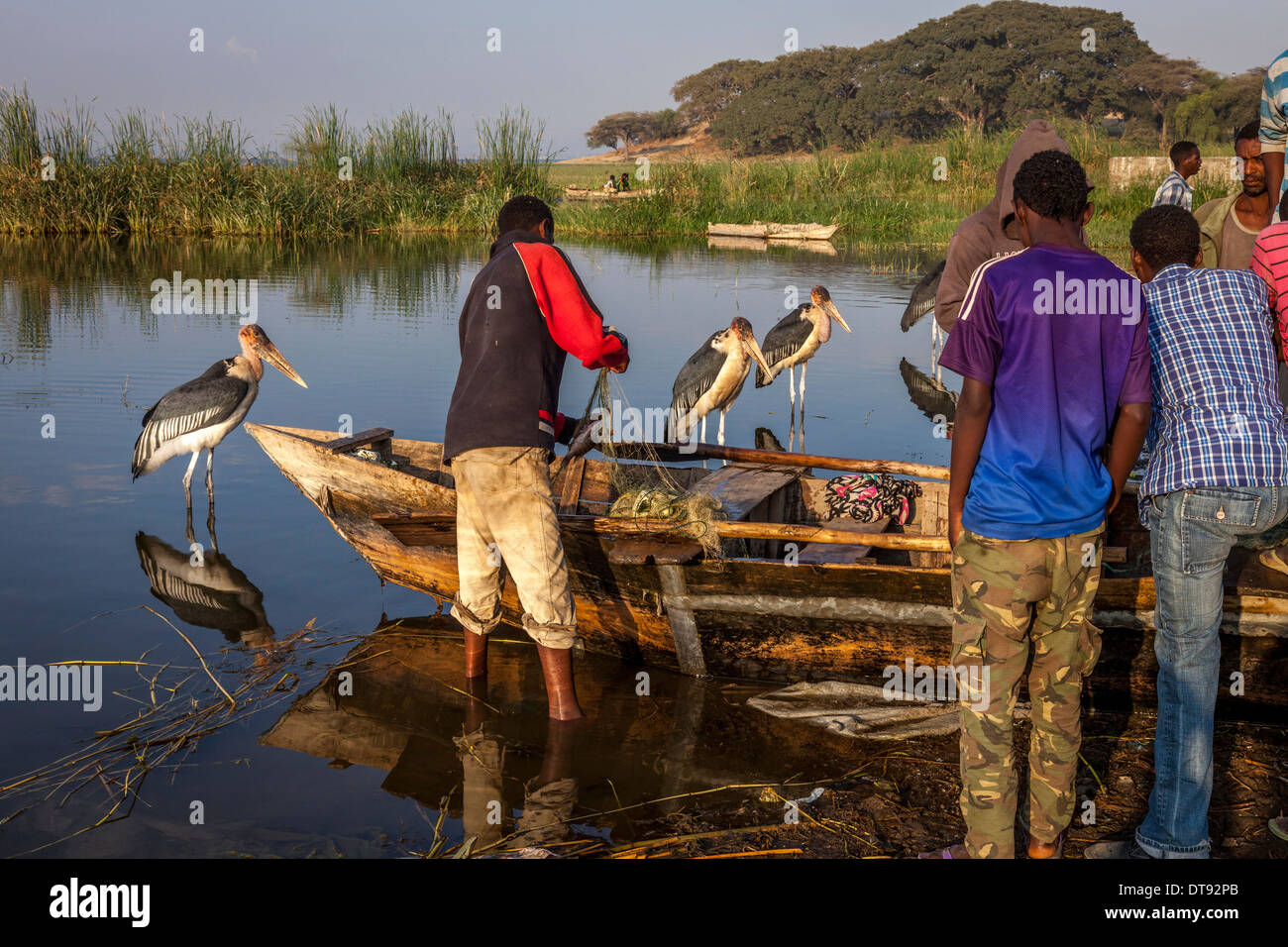 The Fish Market, Lake Hawassa, Hawassa, Ethiopia Stock Photo - Alamy