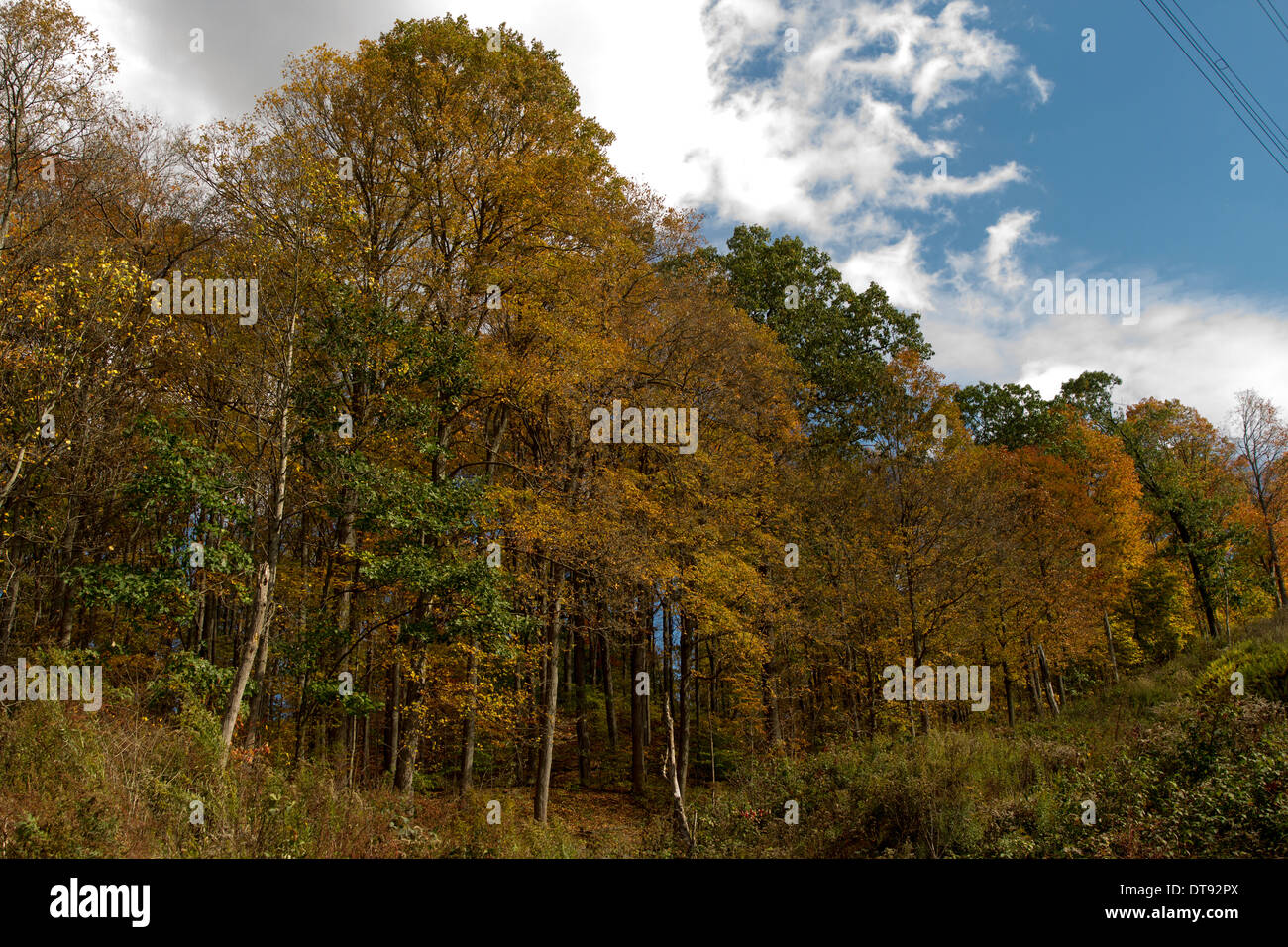 Autumn road trip hi-res stock photography and images - Alamy