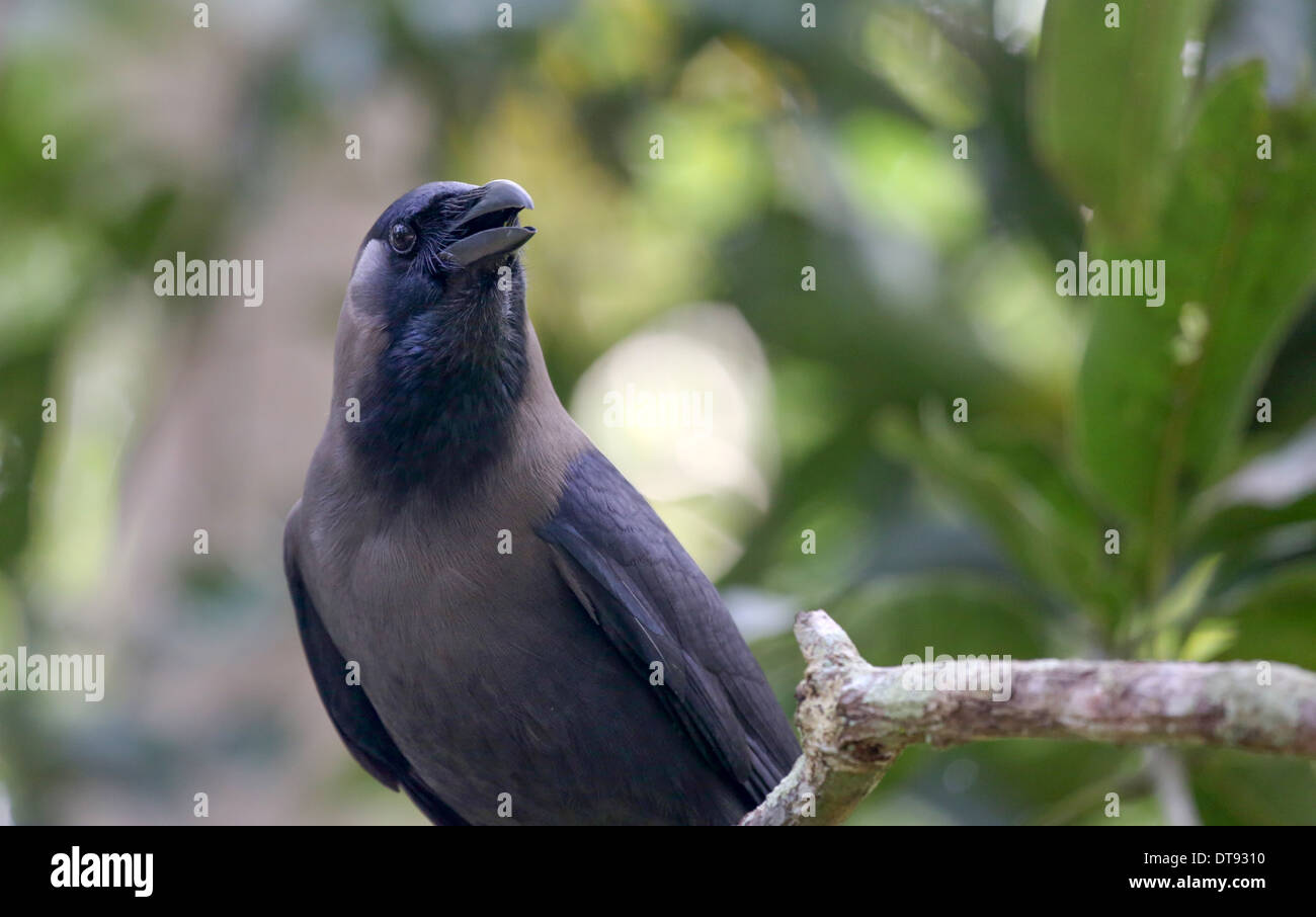 East wing east india house hi-res stock photography and images - Alamy