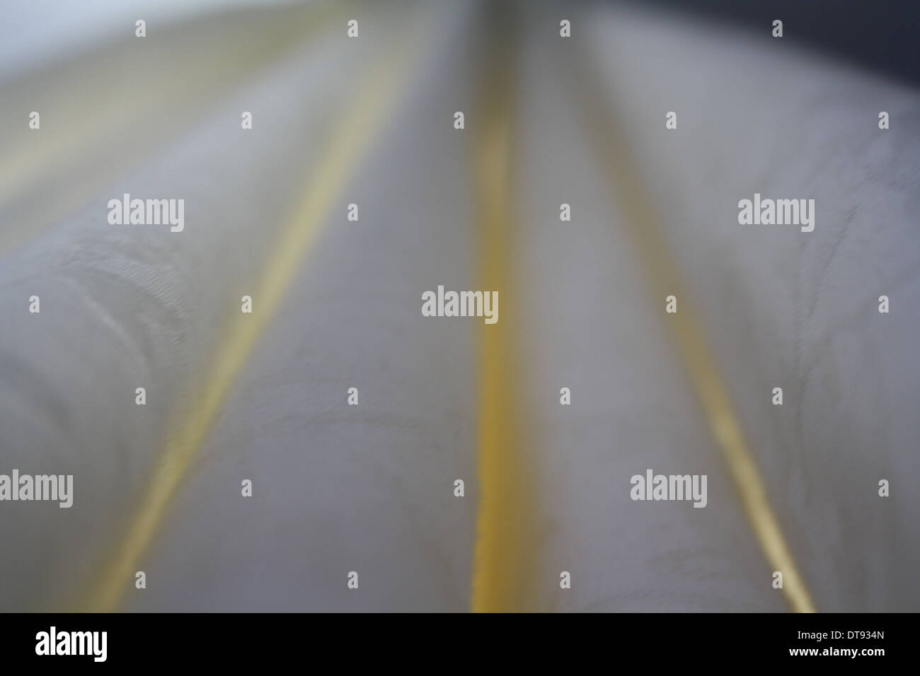 Picture from below hi-res stock photography and images - Alamy