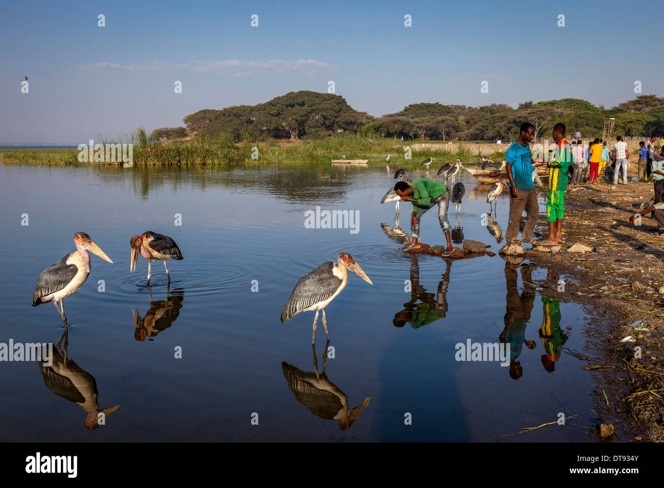 The Fish Market, Lake Hawassa, Hawassa, Ethiopia Stock Photo - Alamy
