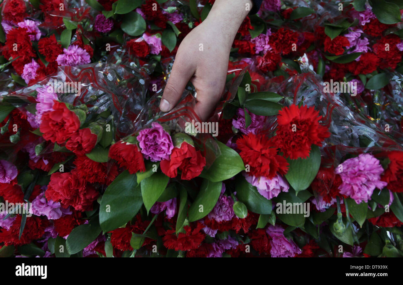 Gaza City, Gaza Strip, Palestinian Territory. 12th Feb, 2014. A ...