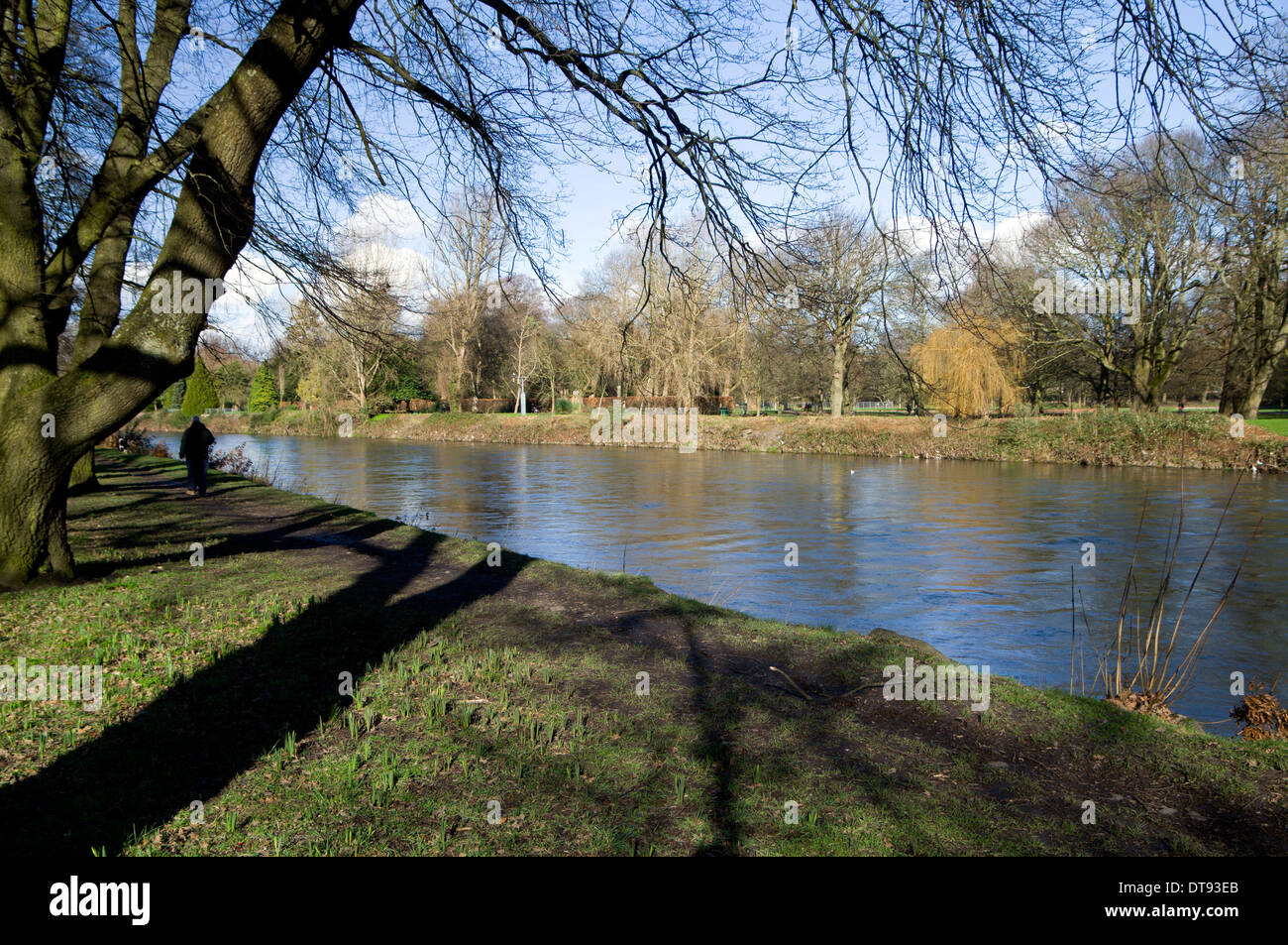 River taff bute park cardiff trees winter flow wales hi-res stock ...