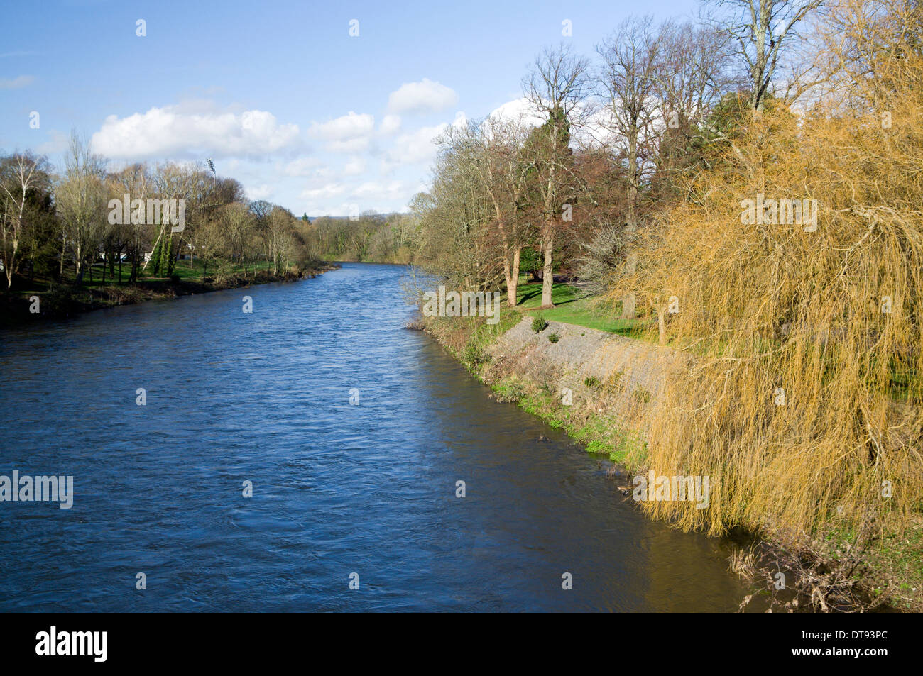 River taff bute park cardiff trees winter flow wales hi-res stock ...