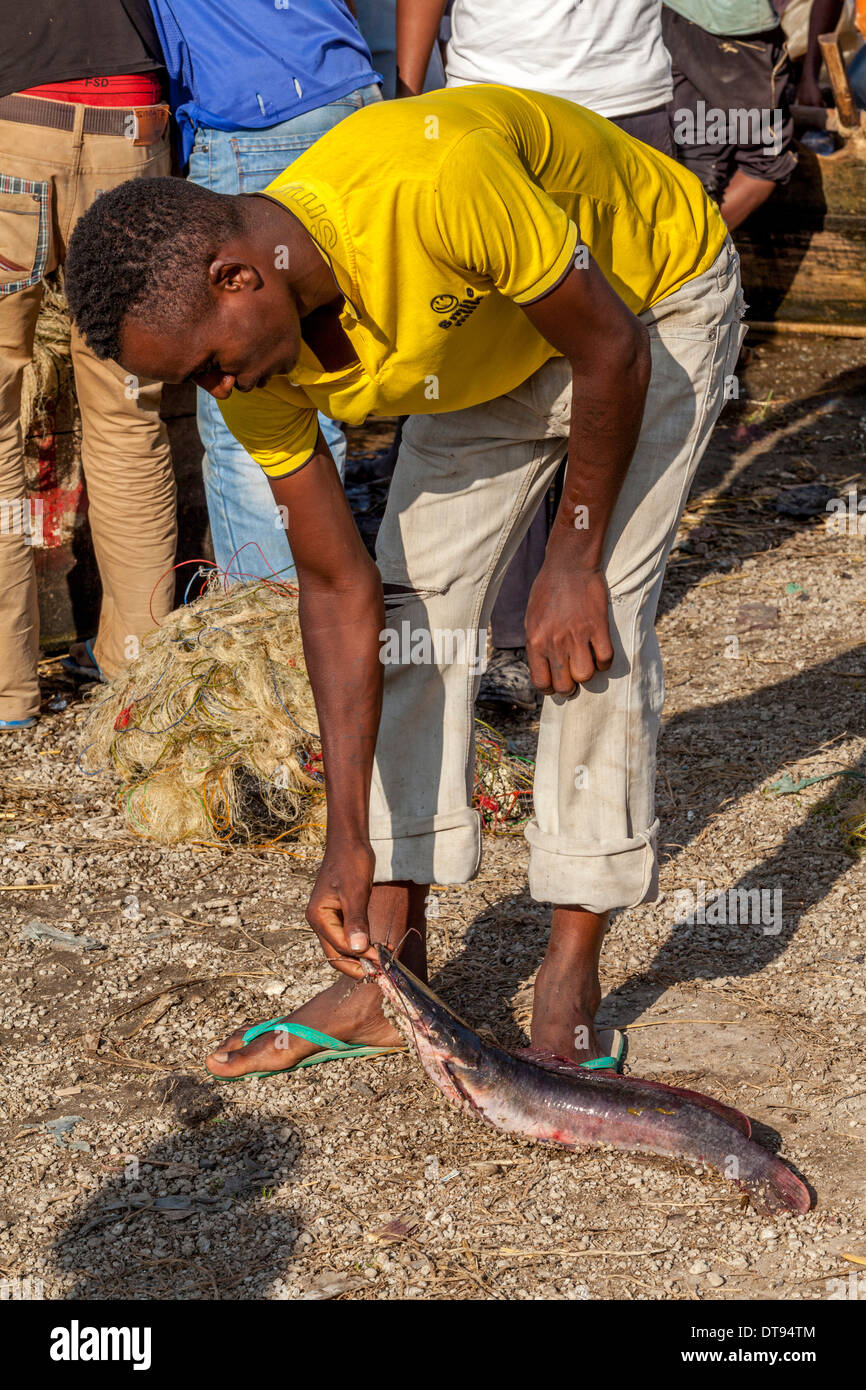 The Fish Market, Lake Hawassa, Hawassa, Ethiopia Stock Photo - Alamy